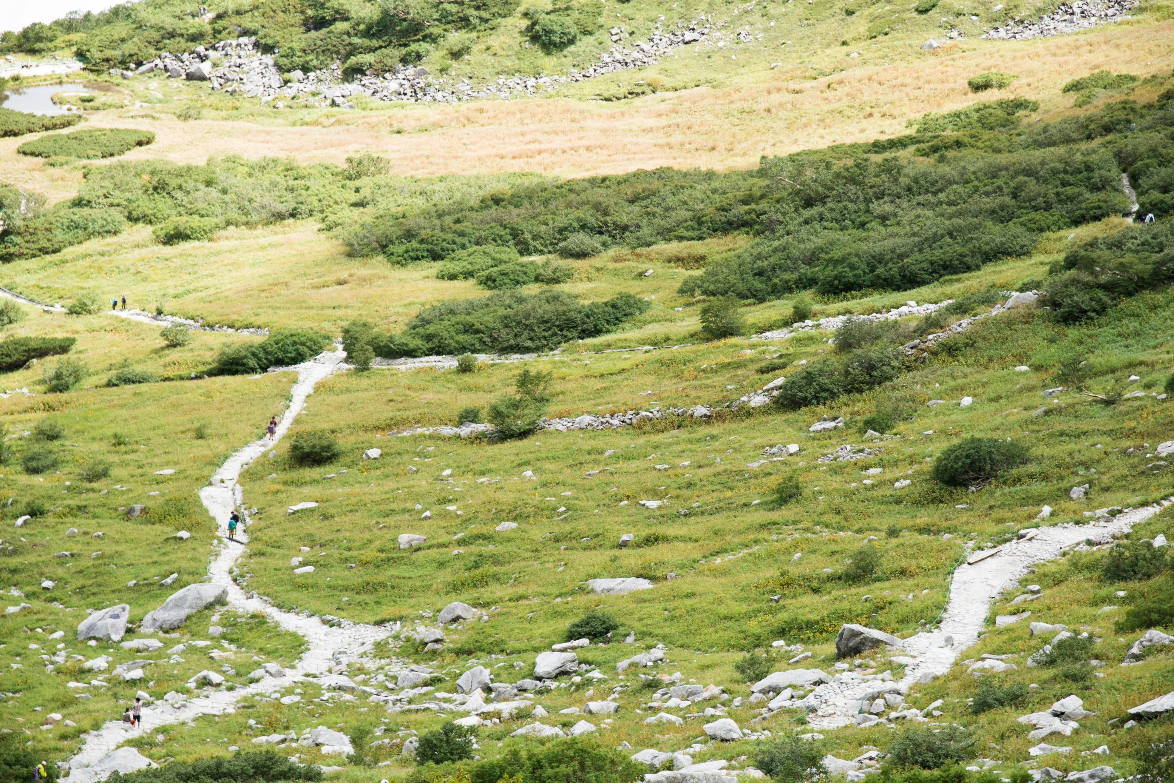 Meandering paths cut through lush green meadows dotted with rocks and shrubs, inviting exploration in a serene landscape.