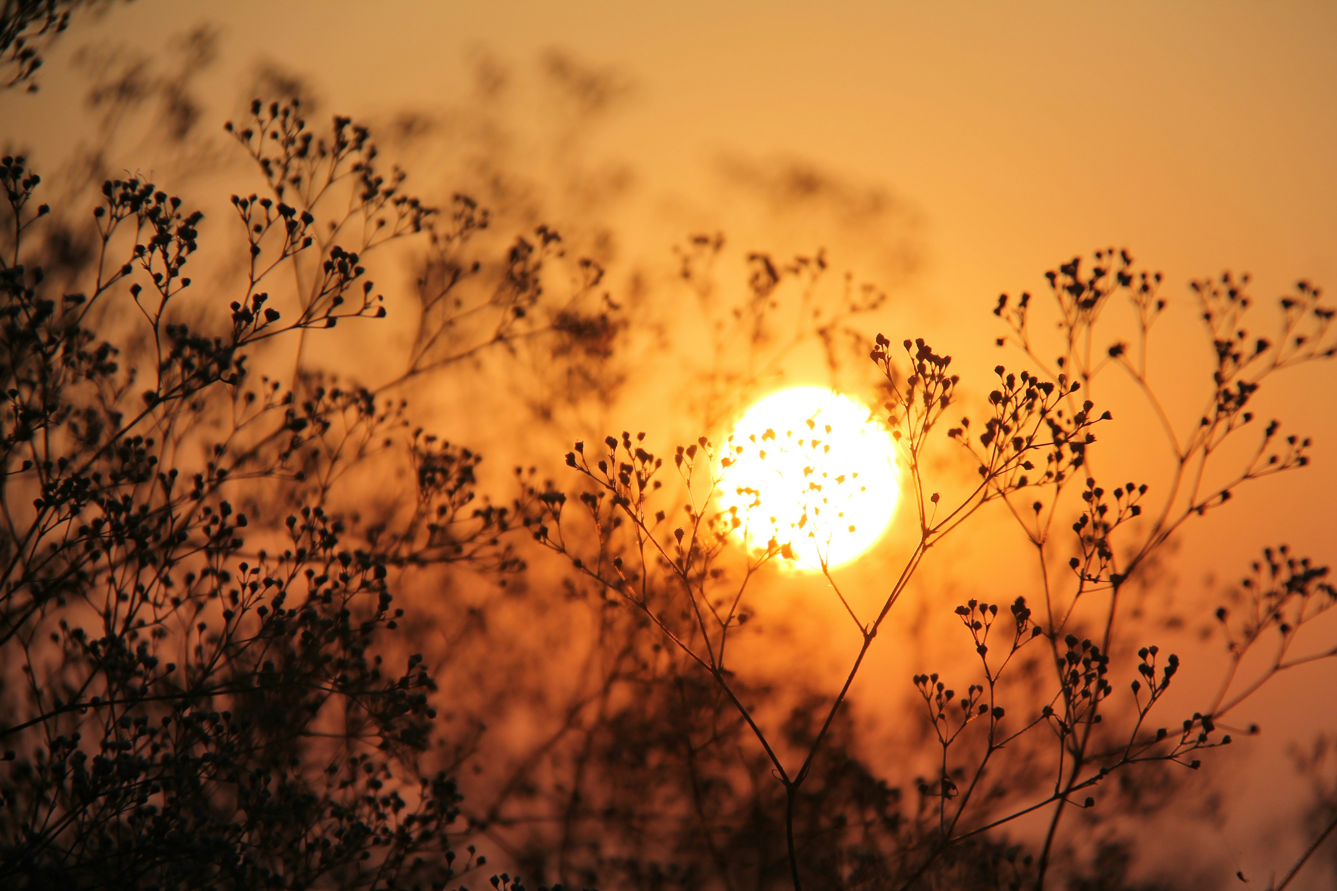 Nida Pictures | Download Free Images on Unsplash