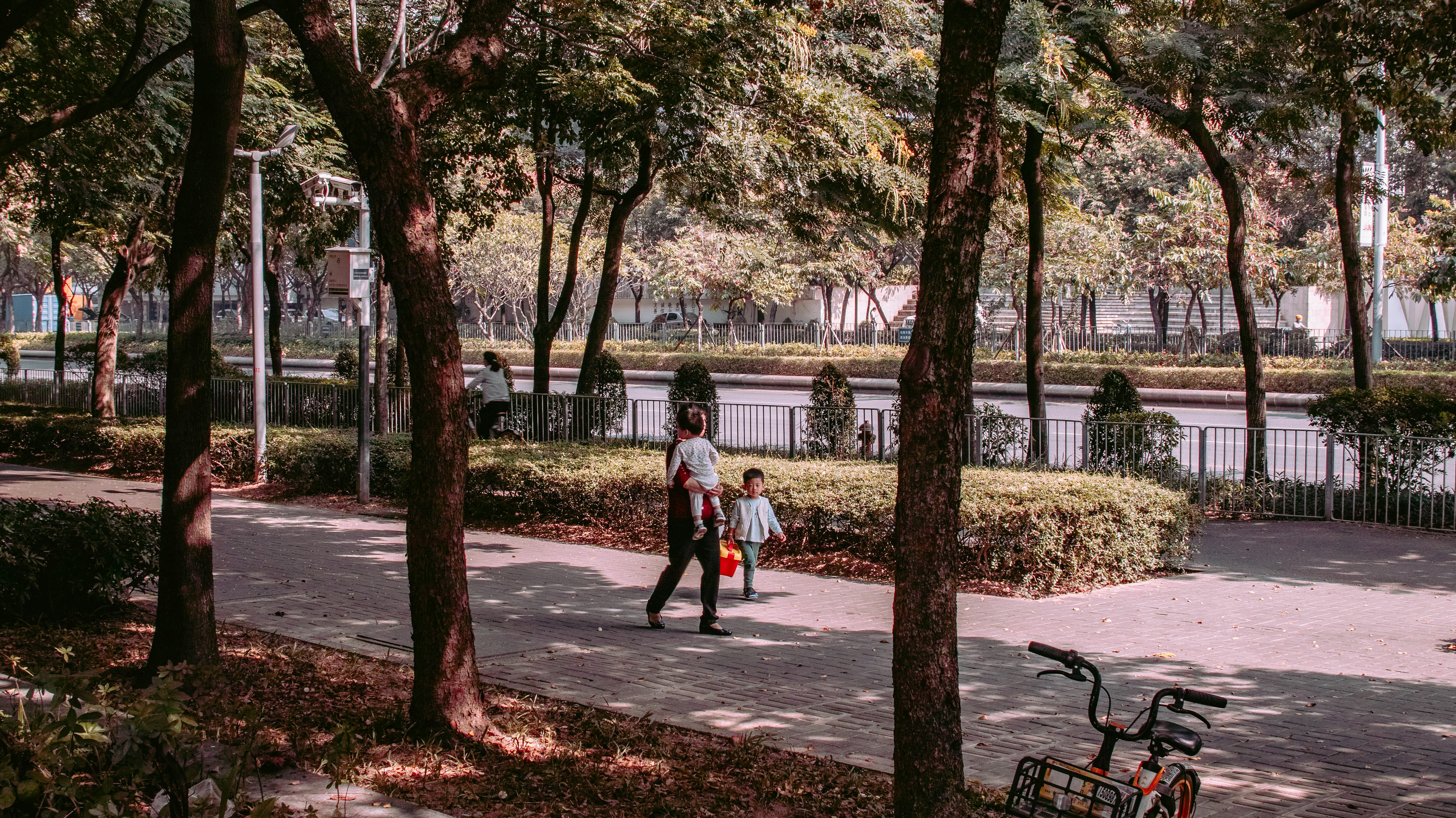 2 women walking on sidewalk near trees during daytime photo – Free ...
