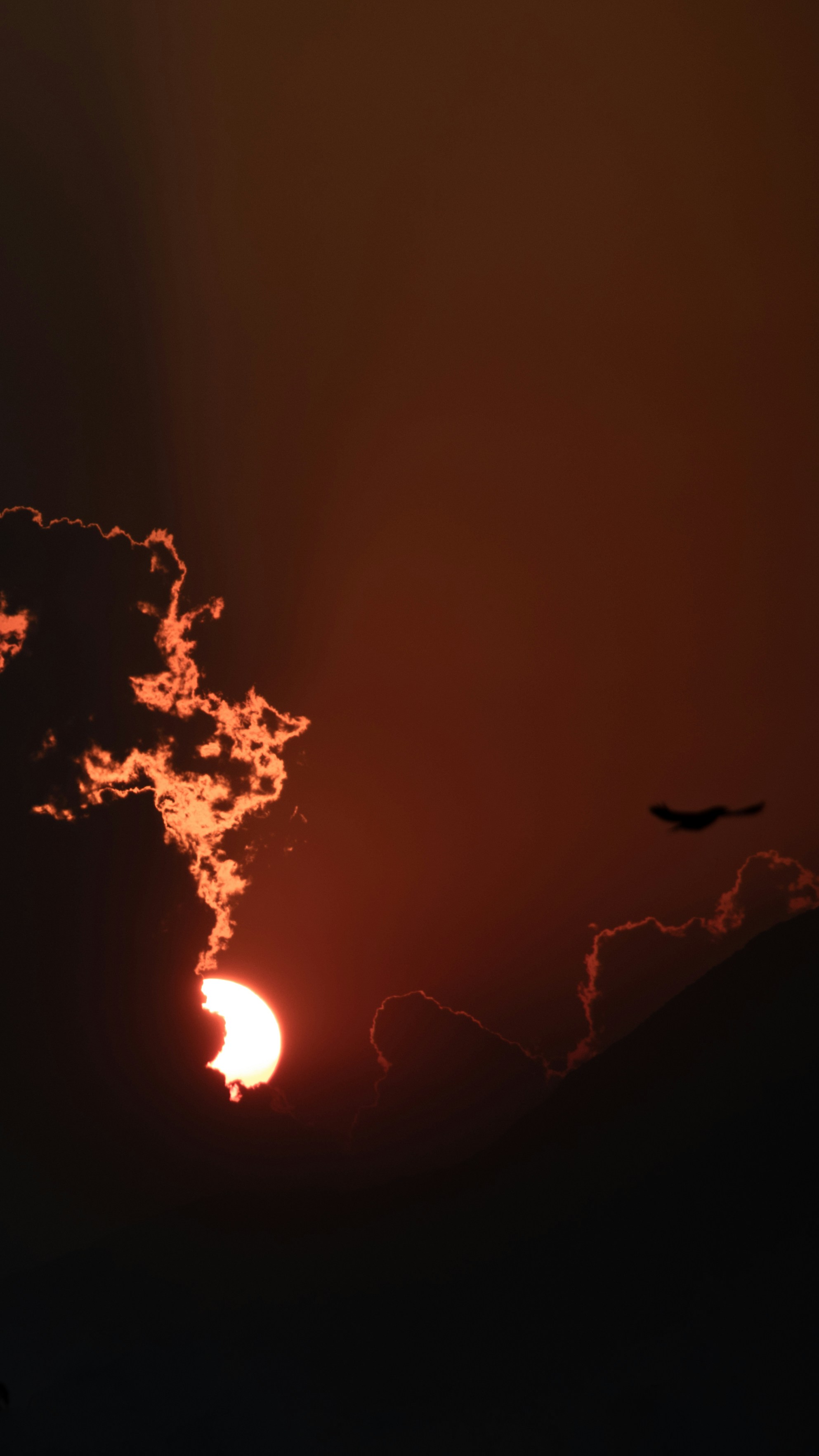 Sunset Rim and Silent Ridge: A Winged Moment at Dusk