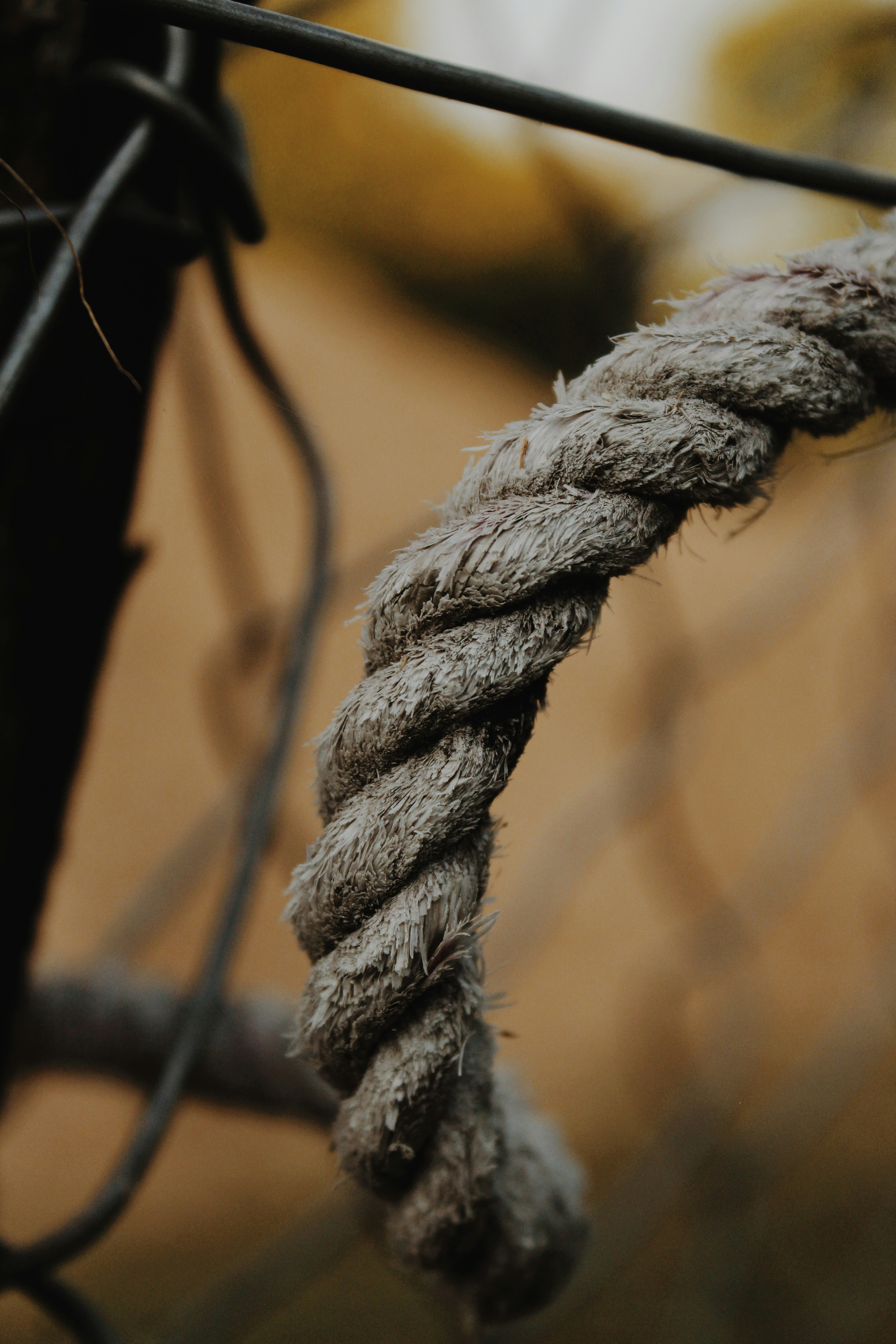 Brown rope in close up photography photo – Free Rope Image on Unsplash