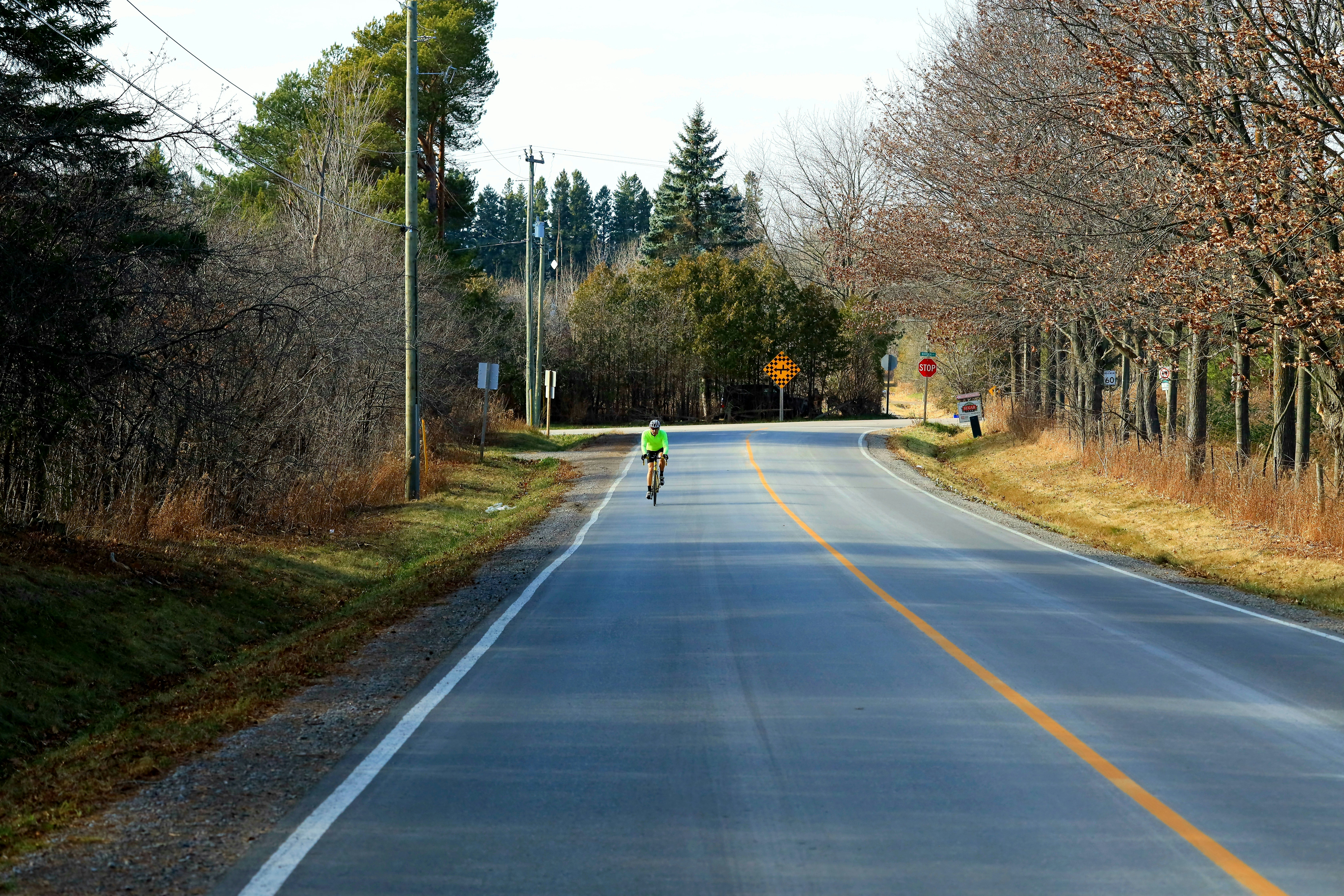 A lone cyclist navigates a quiet country road lined with bare trees, showcasing the tranquility of rural life. The scene captures the essence of outdoor adventure.