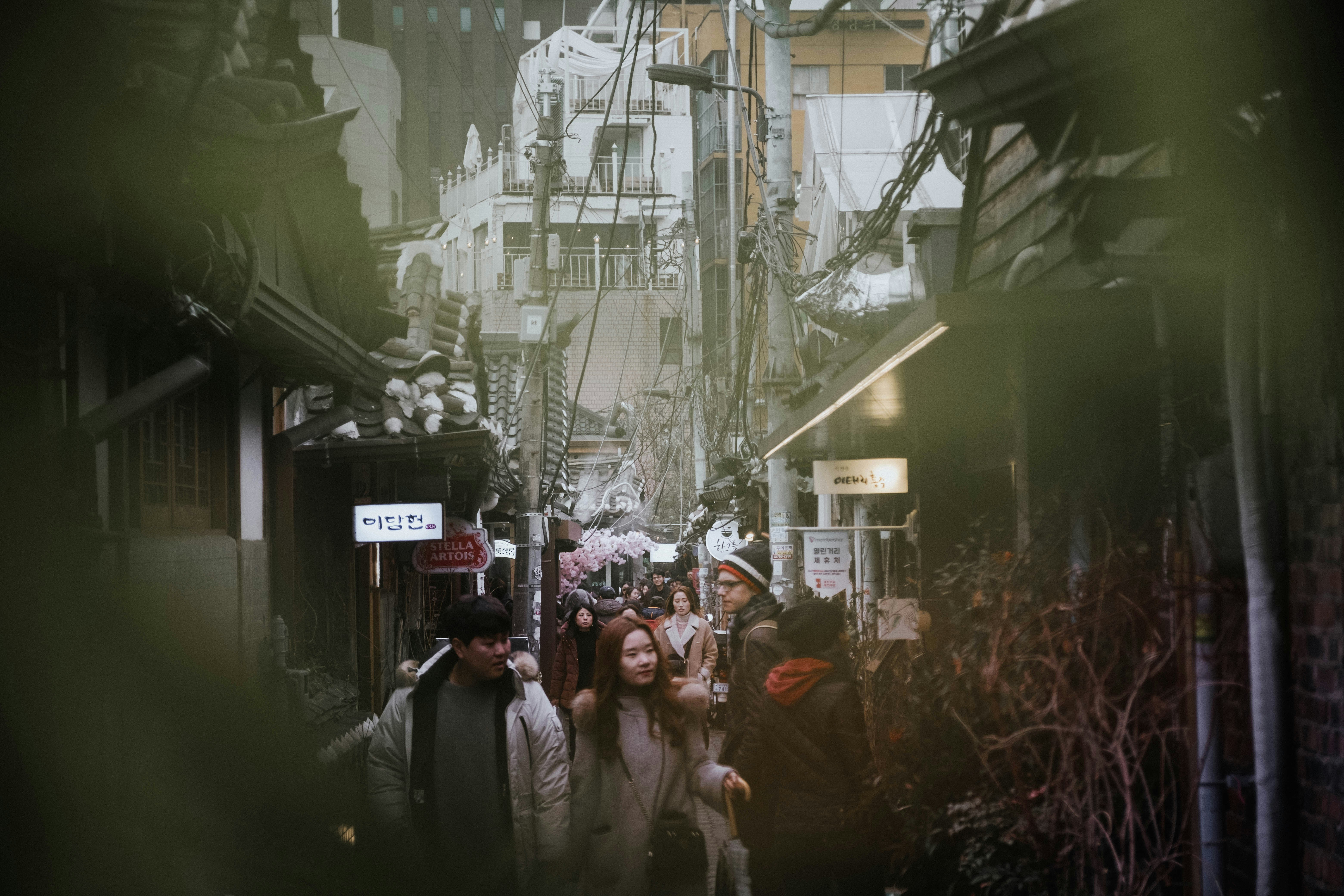 Narrow alleyway bustling with people, adorned with vintage signage and subtle greenery, showcasing the blend of urban life and nature.