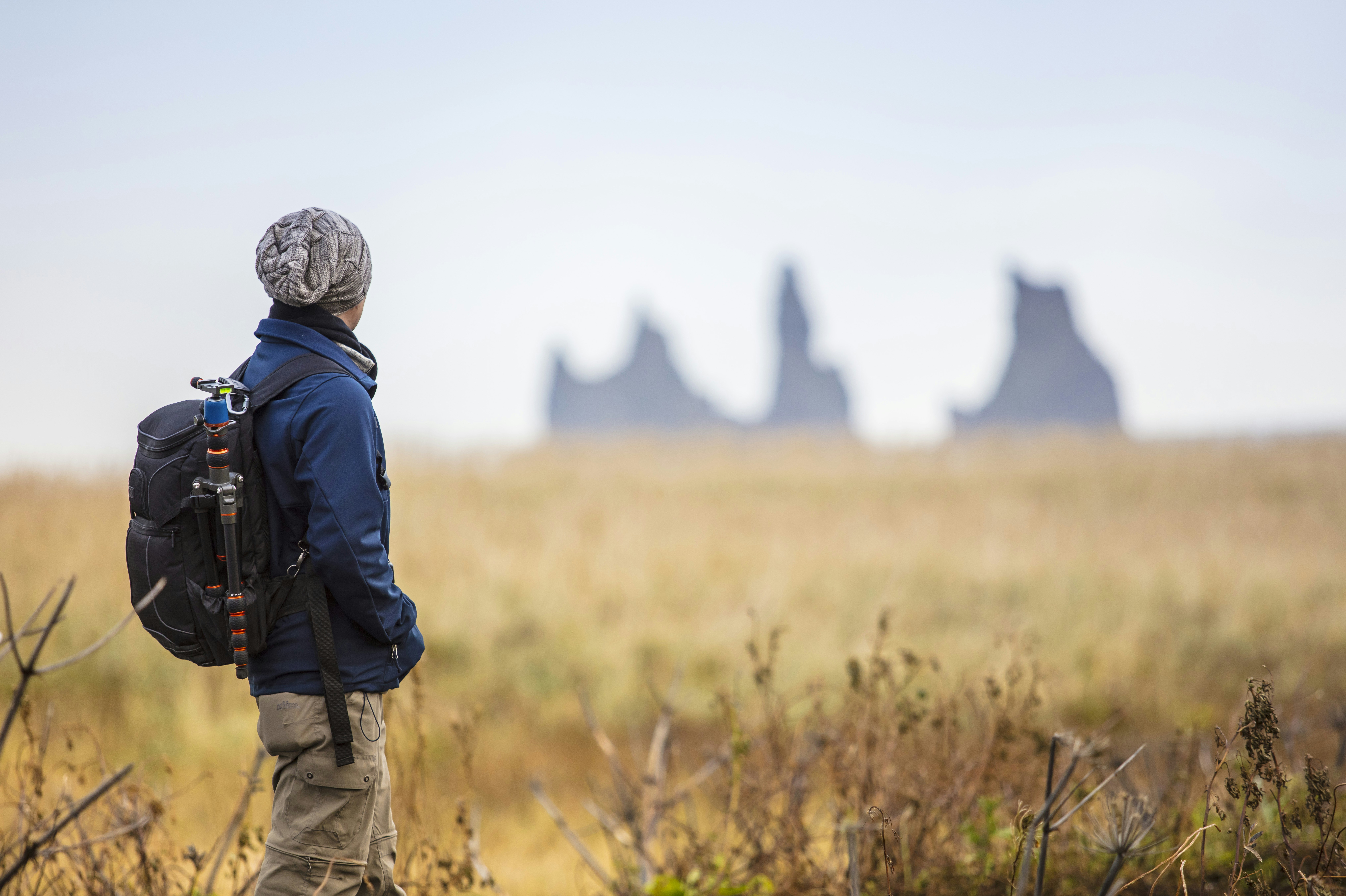 Wanderer in a Golden Prairie with Distant Monoliths