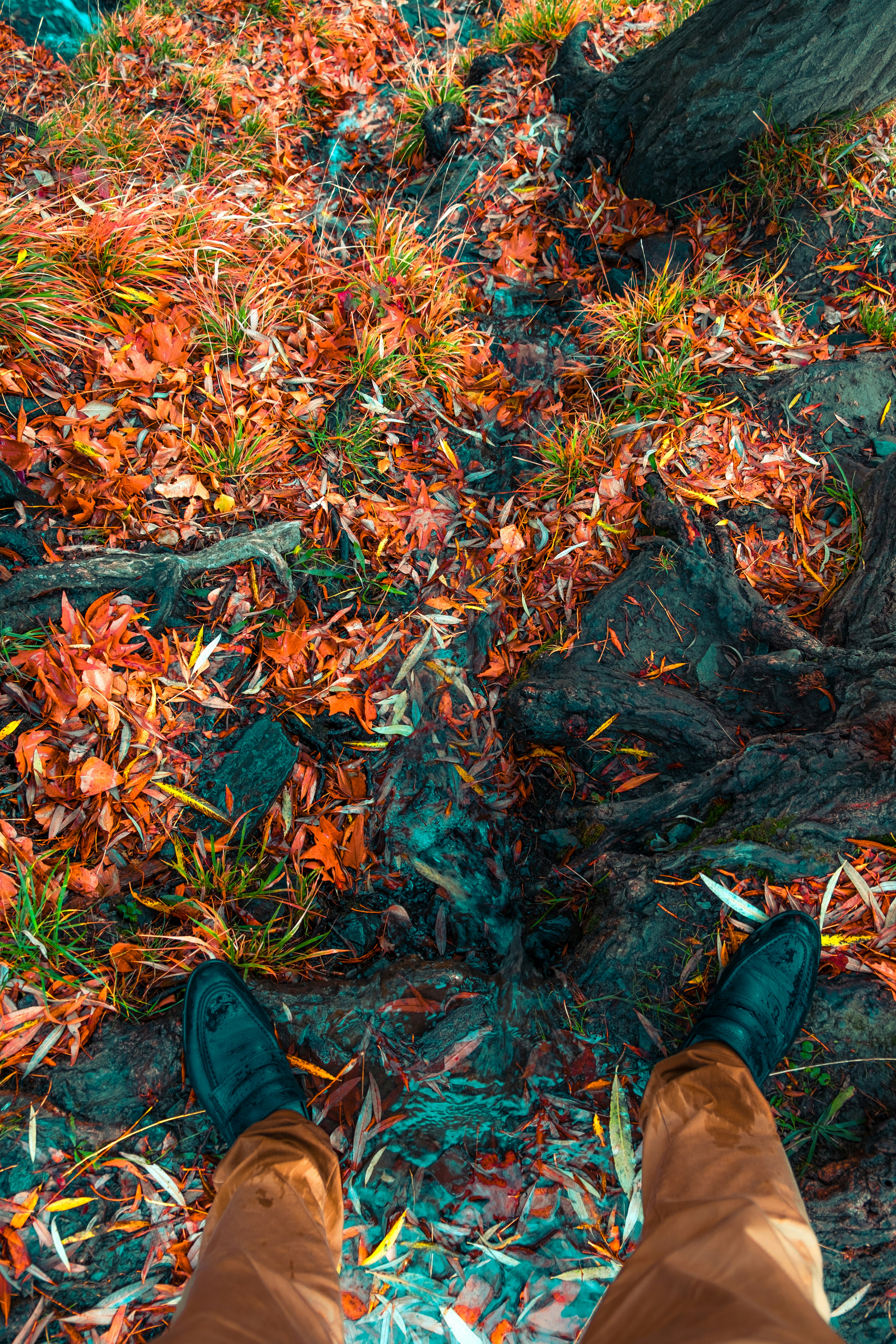 Boots on a Leaf-Carpeted Rockscape
