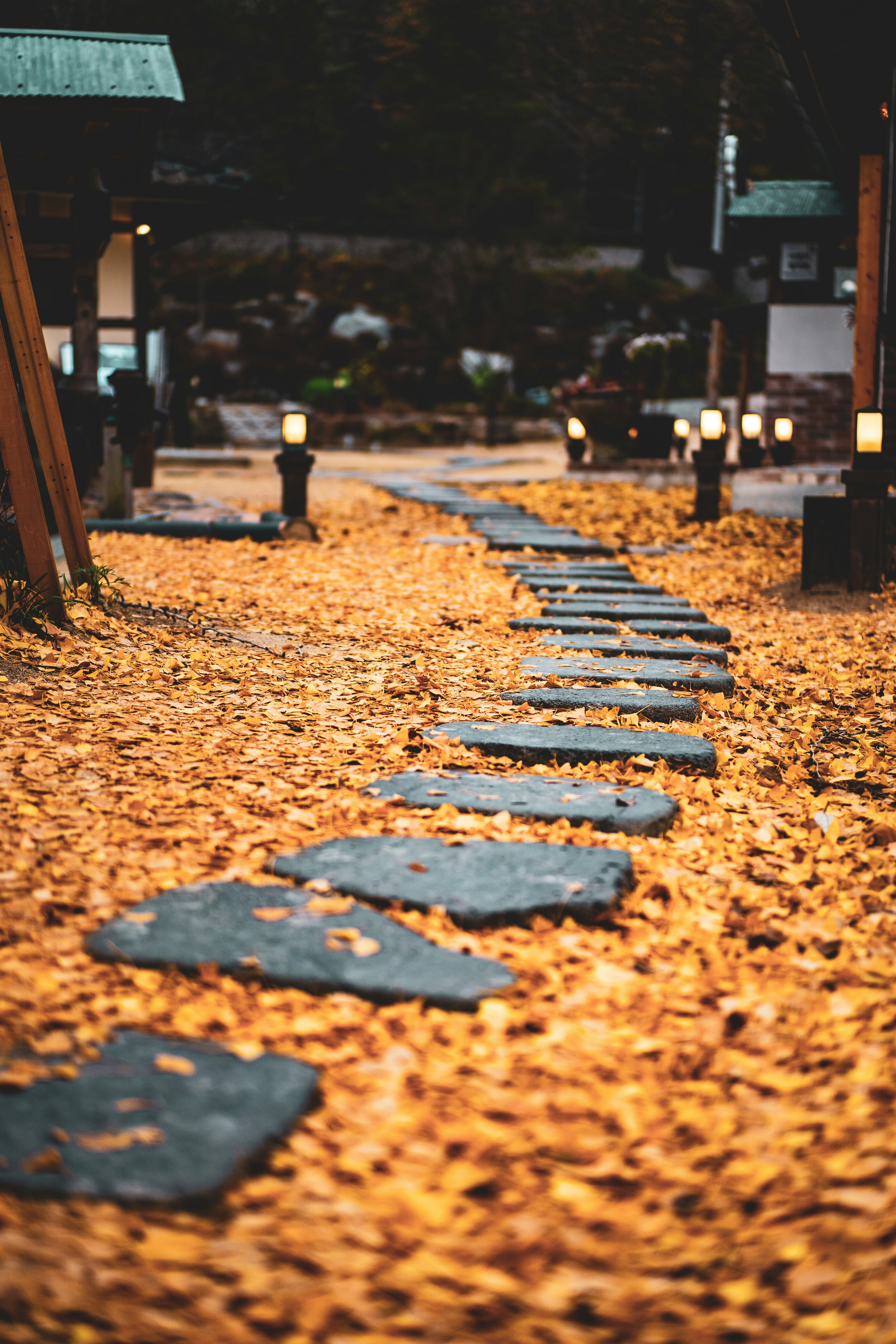 Golden Leaf Pathway Through Autumn Silence