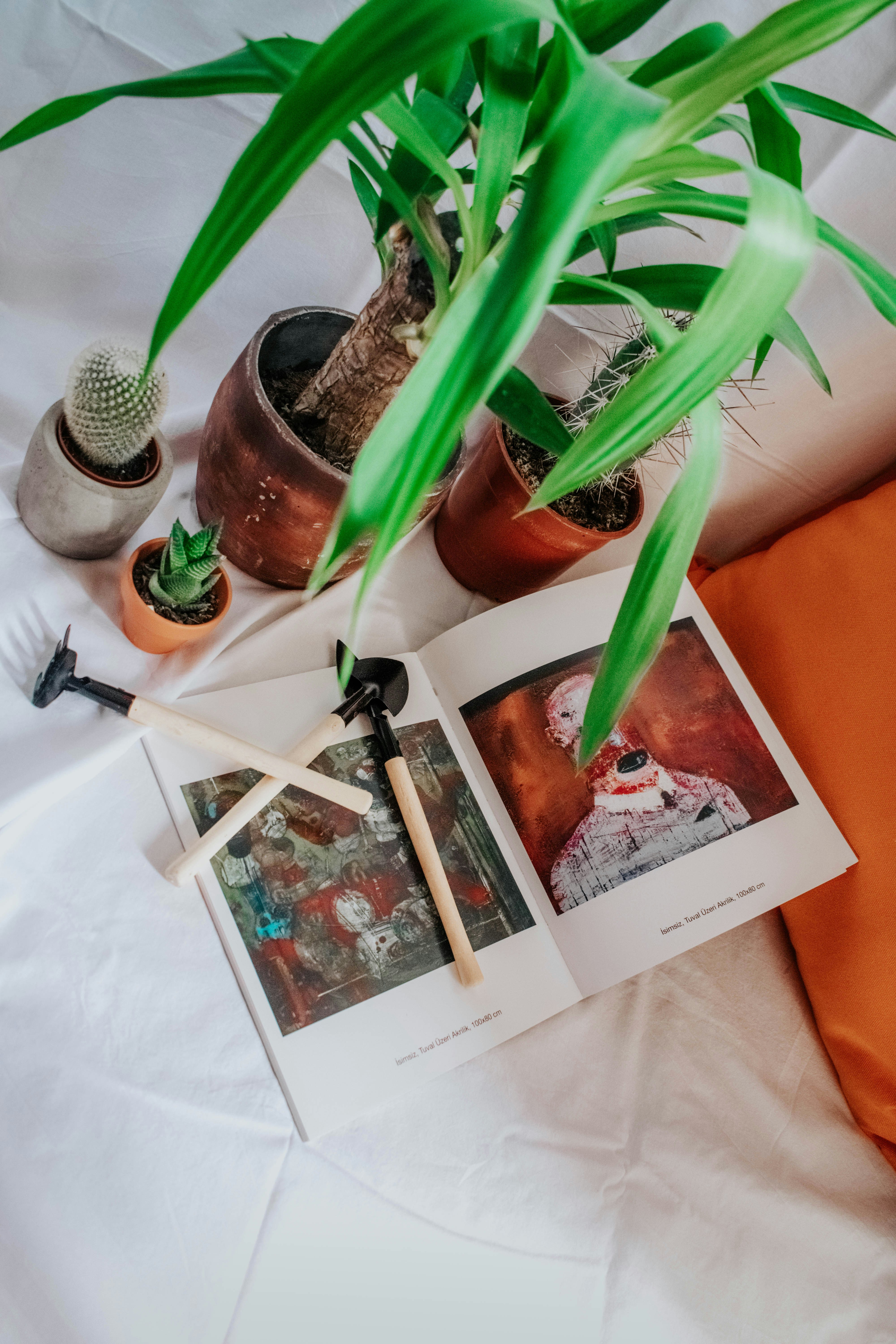 Plant still life with journaling spread and art tools on a white bed