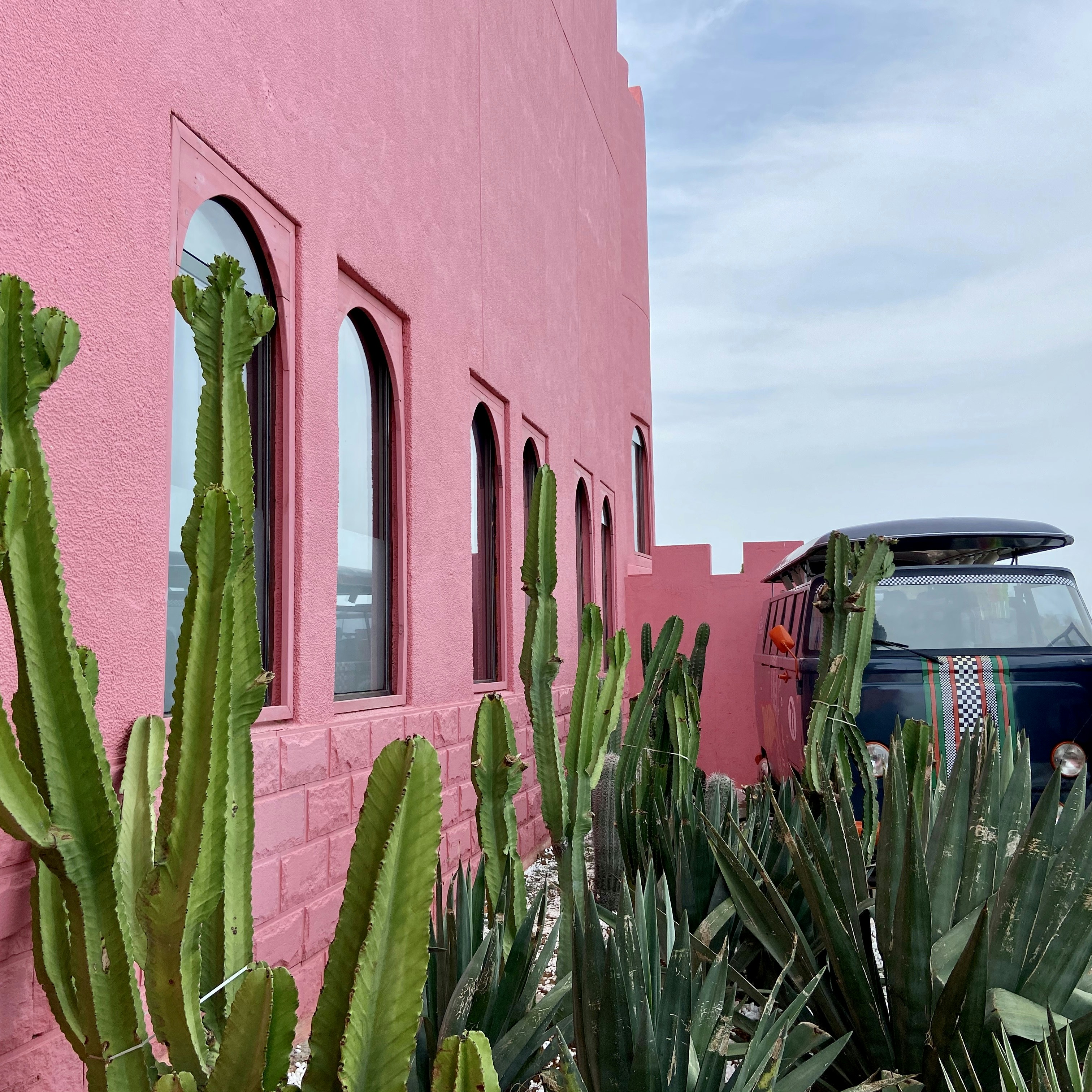 Coral Pink Facade, Tall Cacti, and a Retro Van: A Quiet Daylight Street Portrait