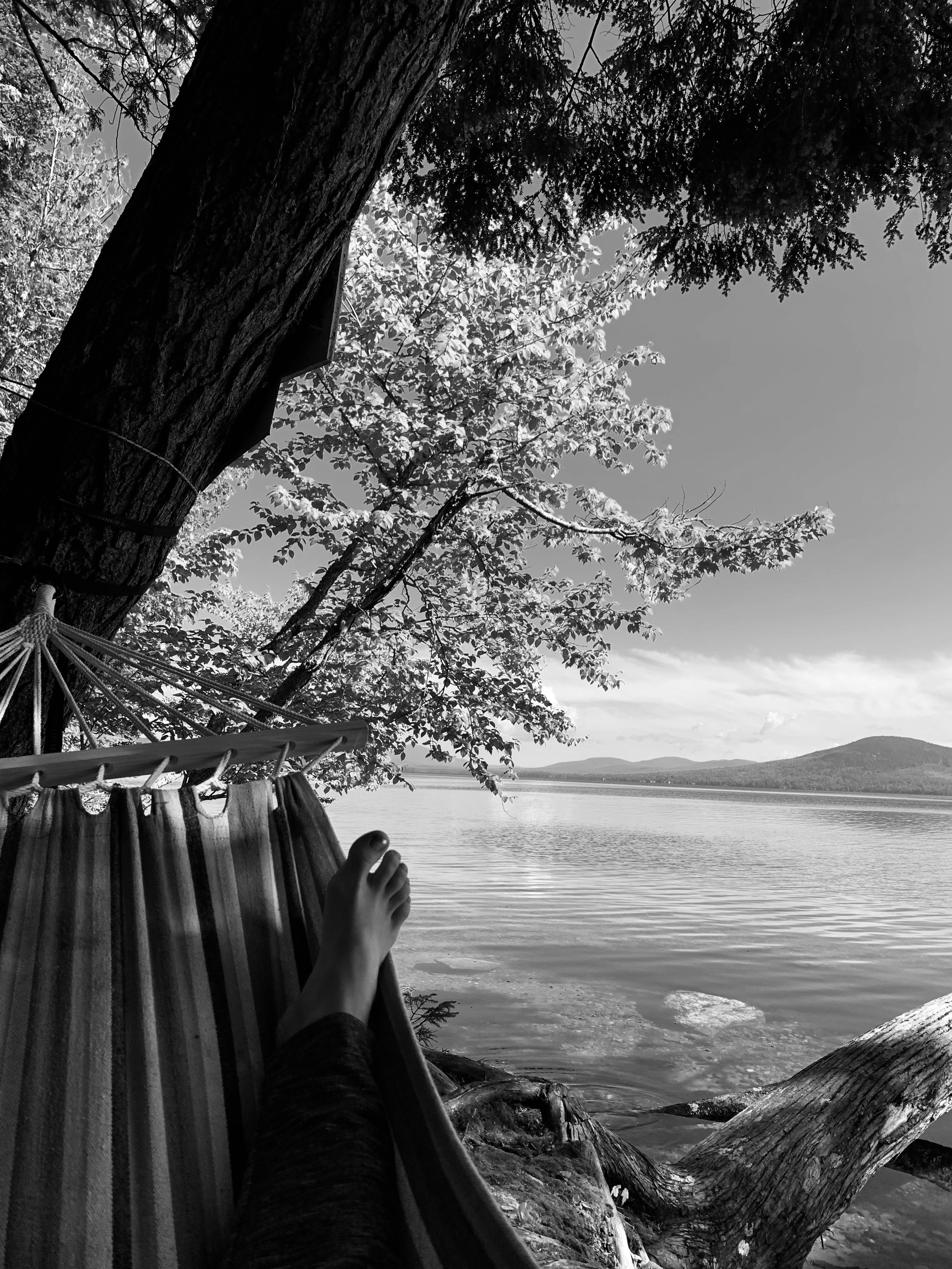 Alyssa P (@alyssap869) | Unsplash Photo Community