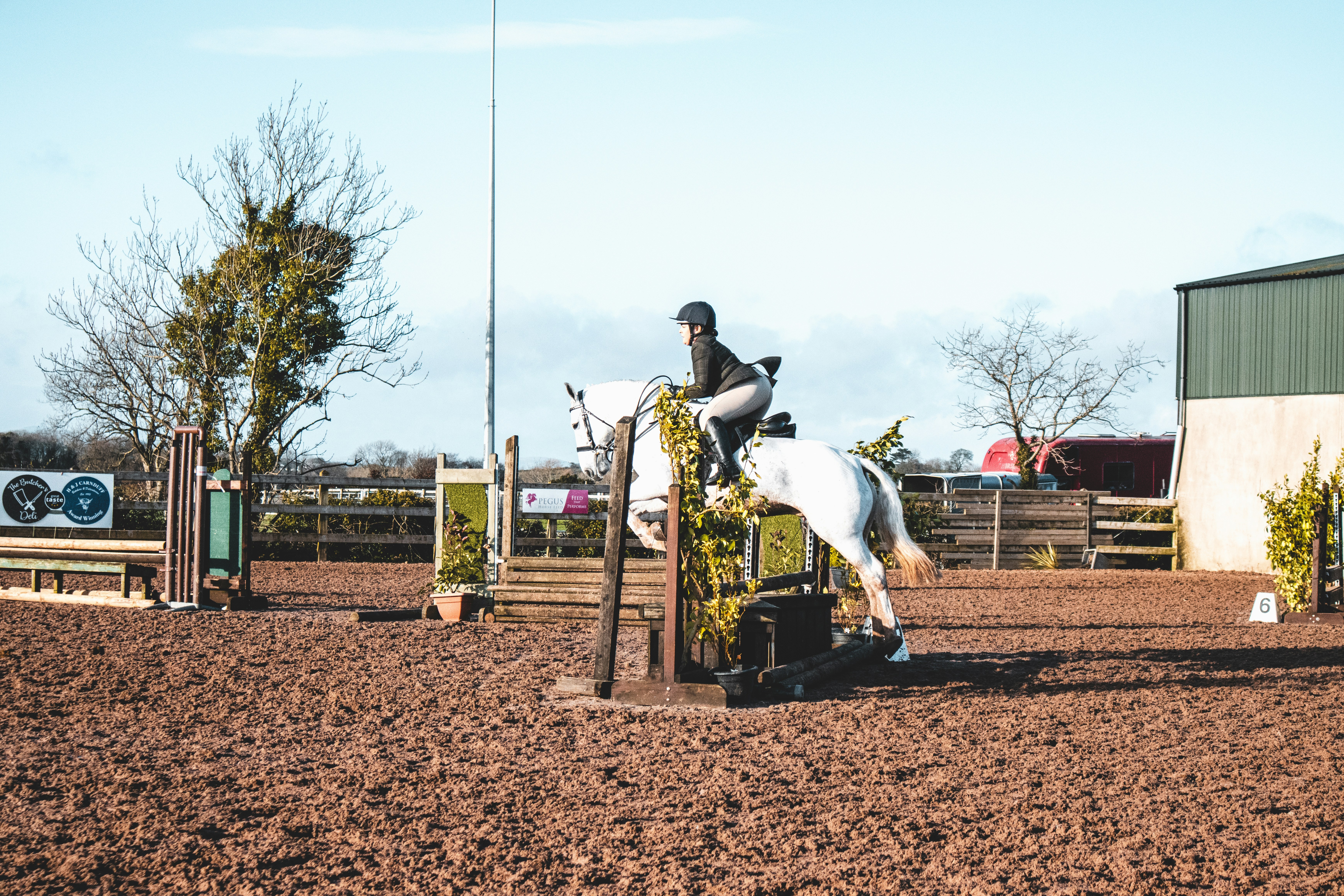 Midair Grace Over a Wooden Jump in a Sunlit Show Ring