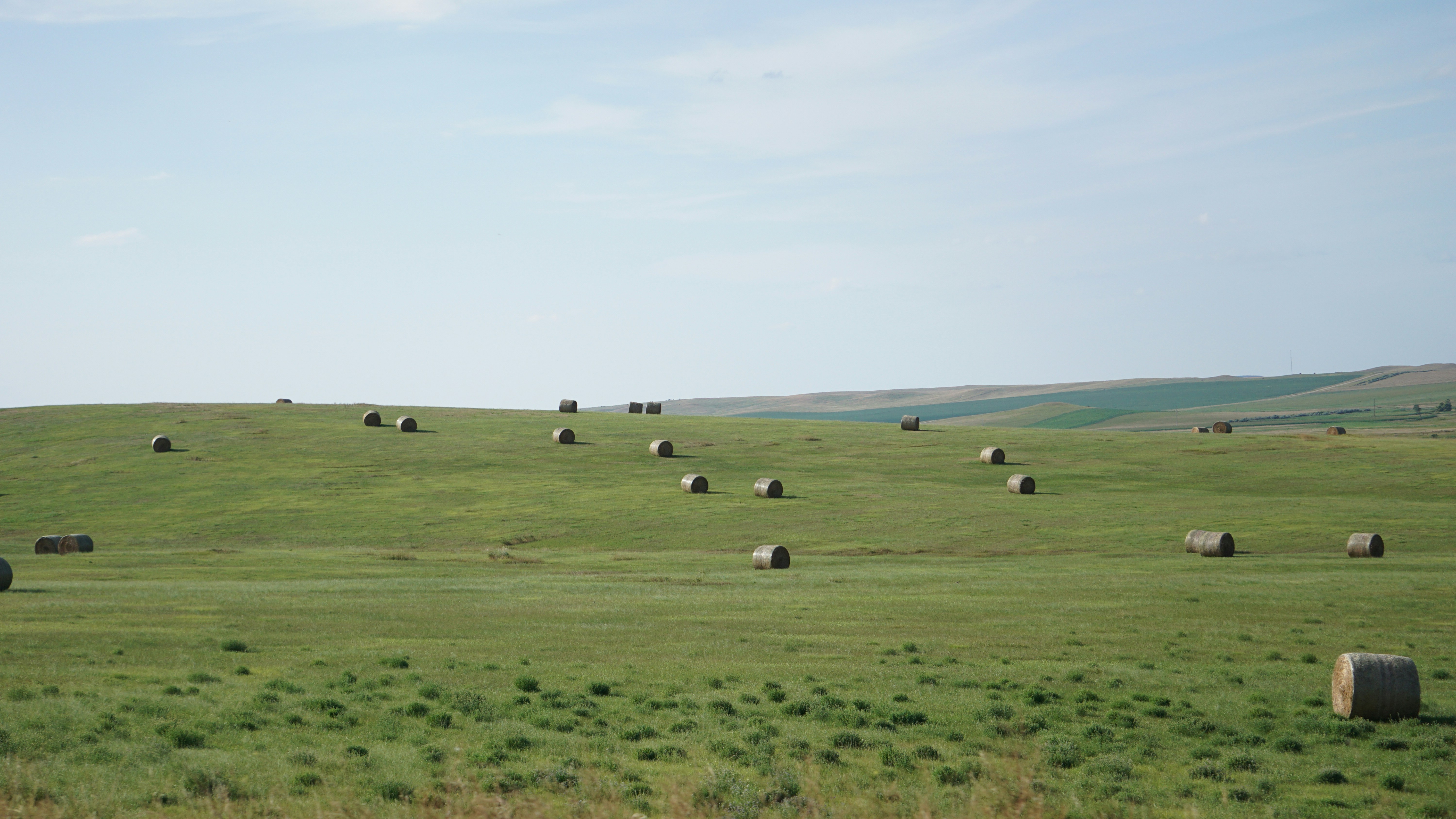 Rolling green fields dotted with hay bales under a clear blue sky, showcasing the beauty of agricultural landscapes.