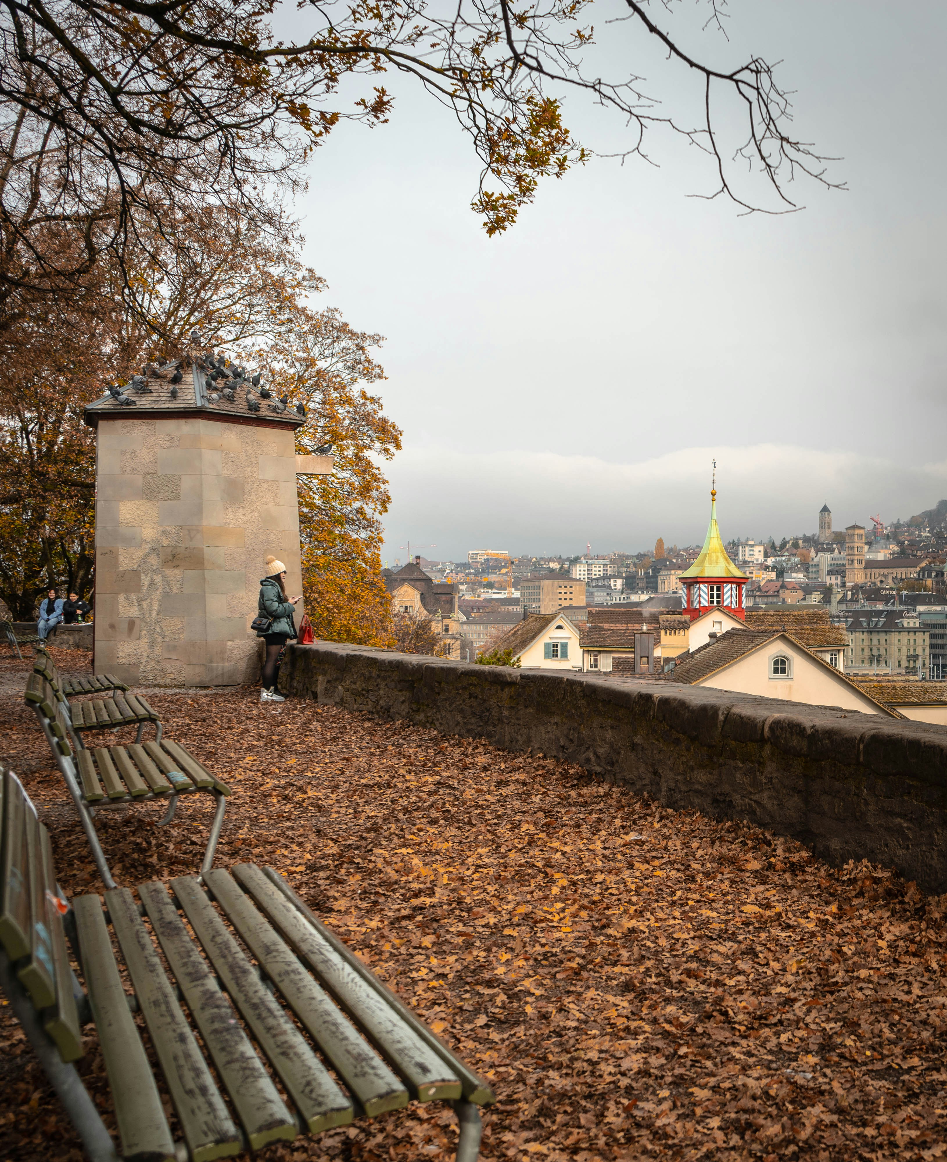 Whispers of Autumn: A Quiet Moment Overlooking the City