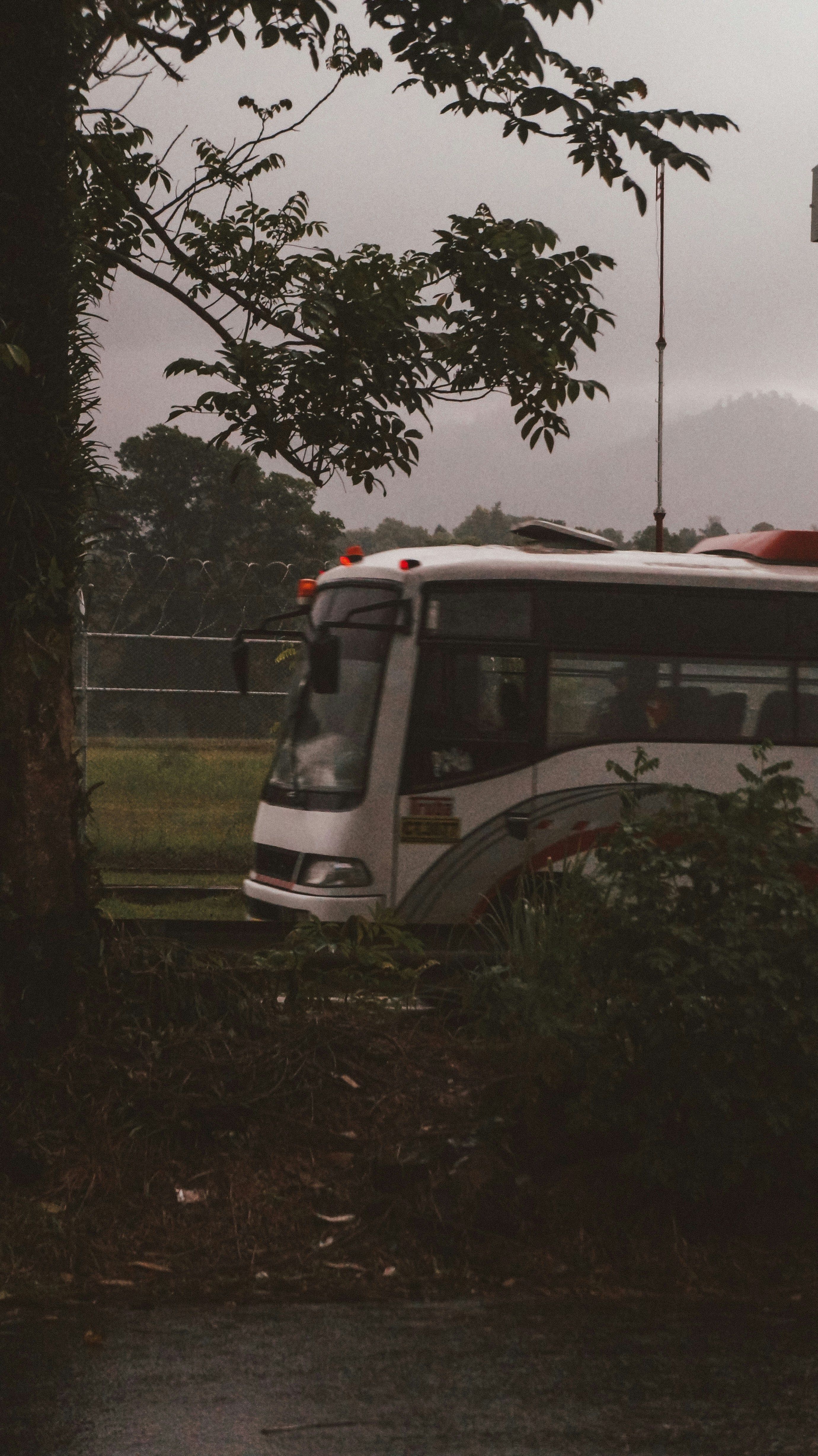 White and red bus on green grass field during daytime photo – Free ...