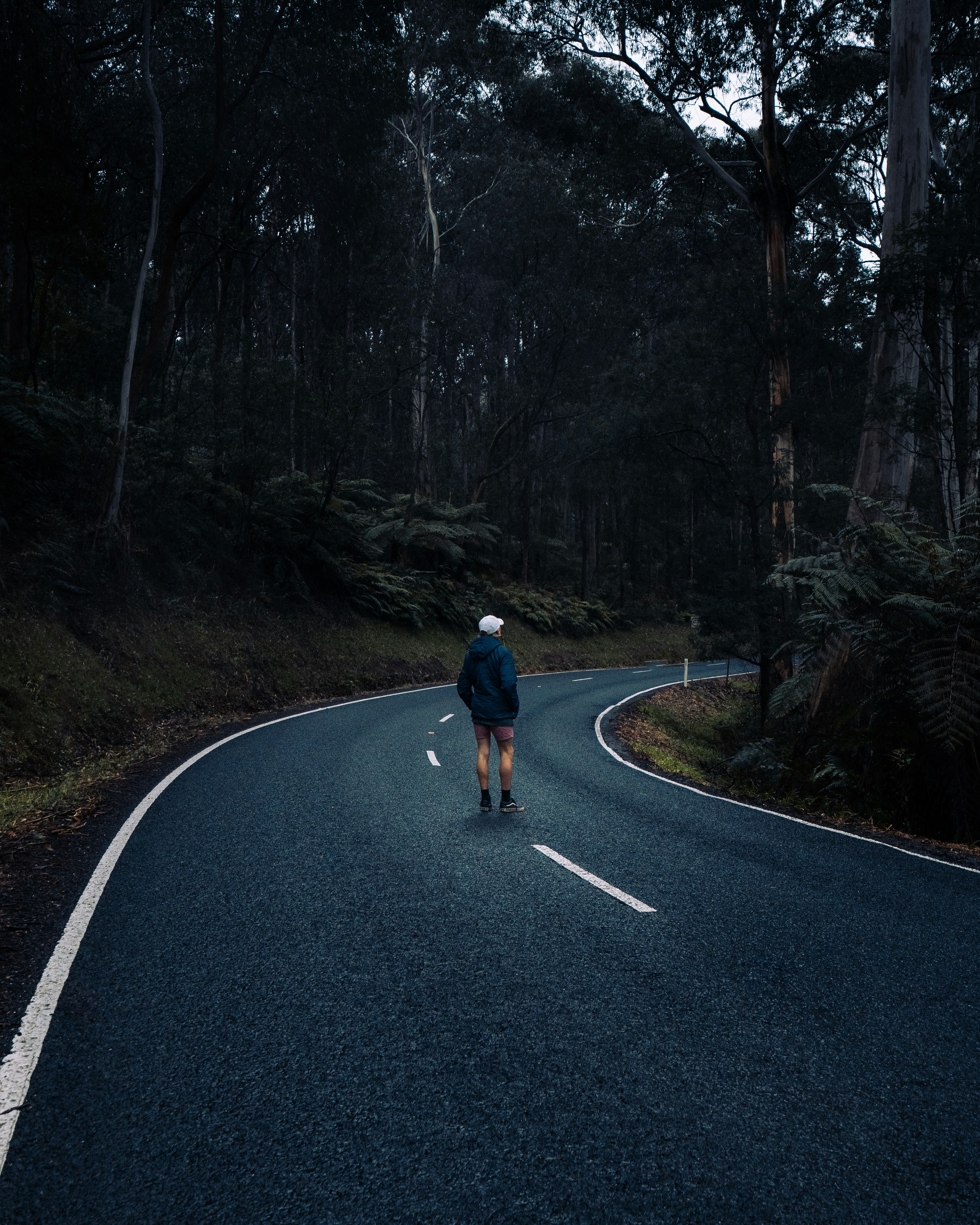 A solitary figure walks along a curved road surrounded by dense forest, evoking a sense of exploration and solitude.
