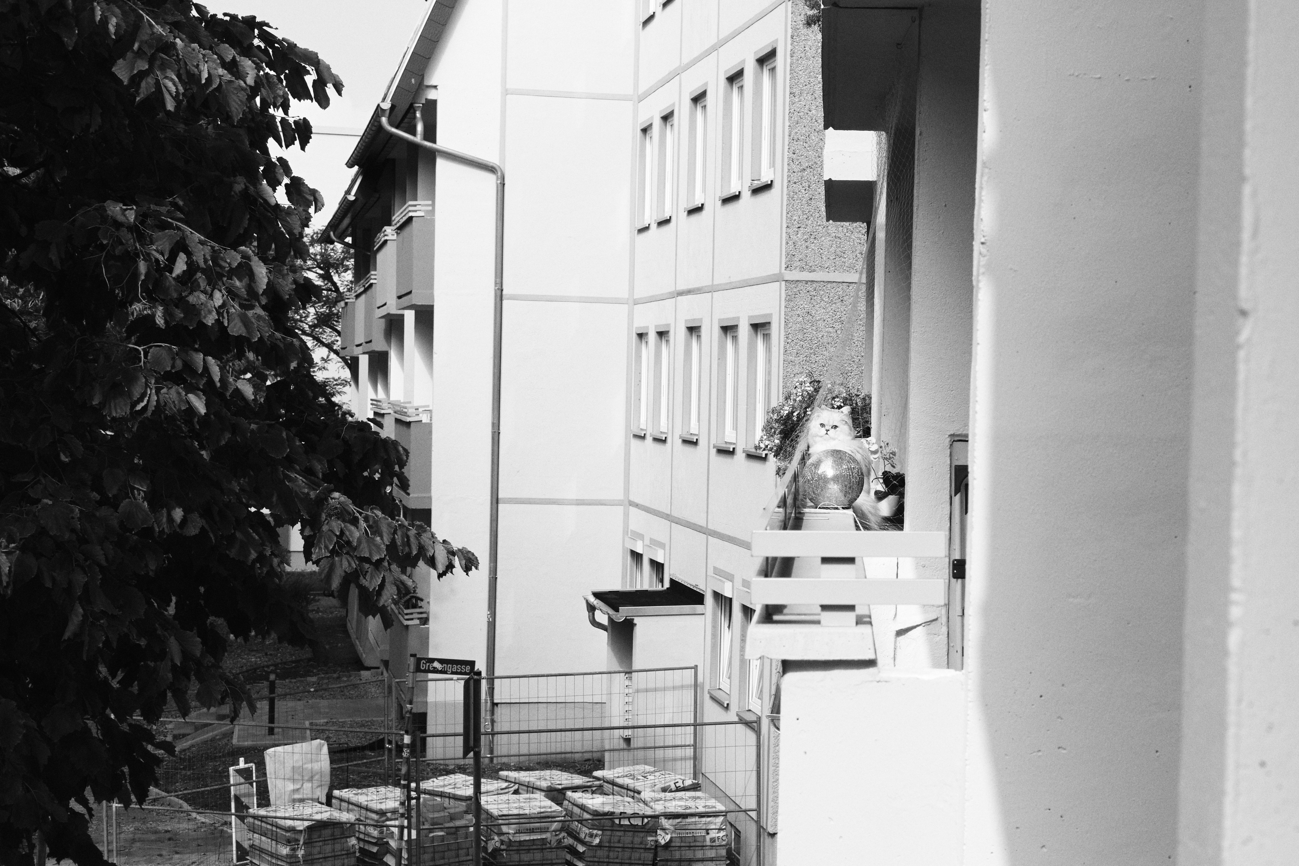 A monochrome scene capturing a residential alleyway with a decorative globe on a balcony, framed by lush foliage and architectural lines.