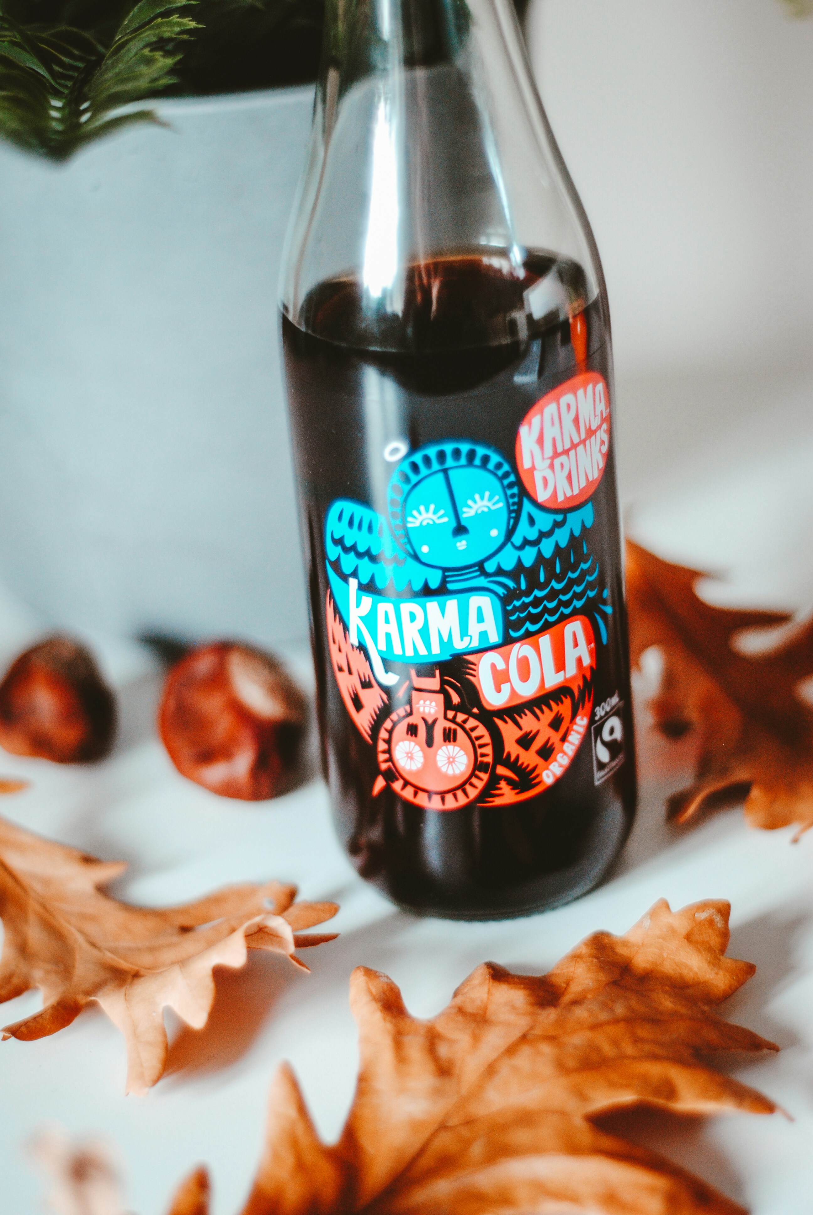 Colorful Karma Cola bottle surrounded by autumn leaves and chestnuts, set against a soft background. A visual celebration of seasonal flavors.