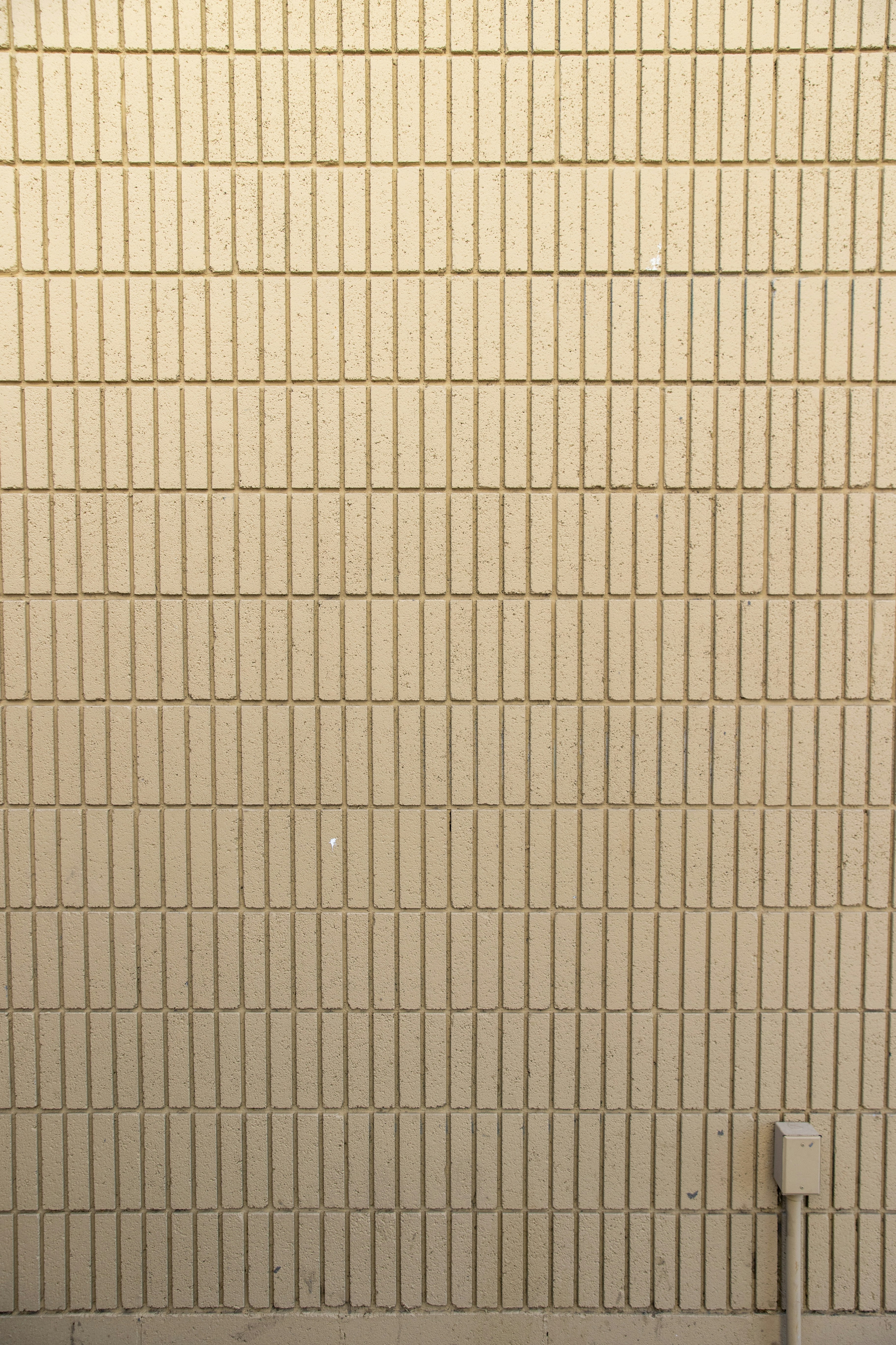 Close-up of a light-colored brick wall showcasing a uniform texture with slight imperfections. A small electrical outlet is visible at the bottom right.