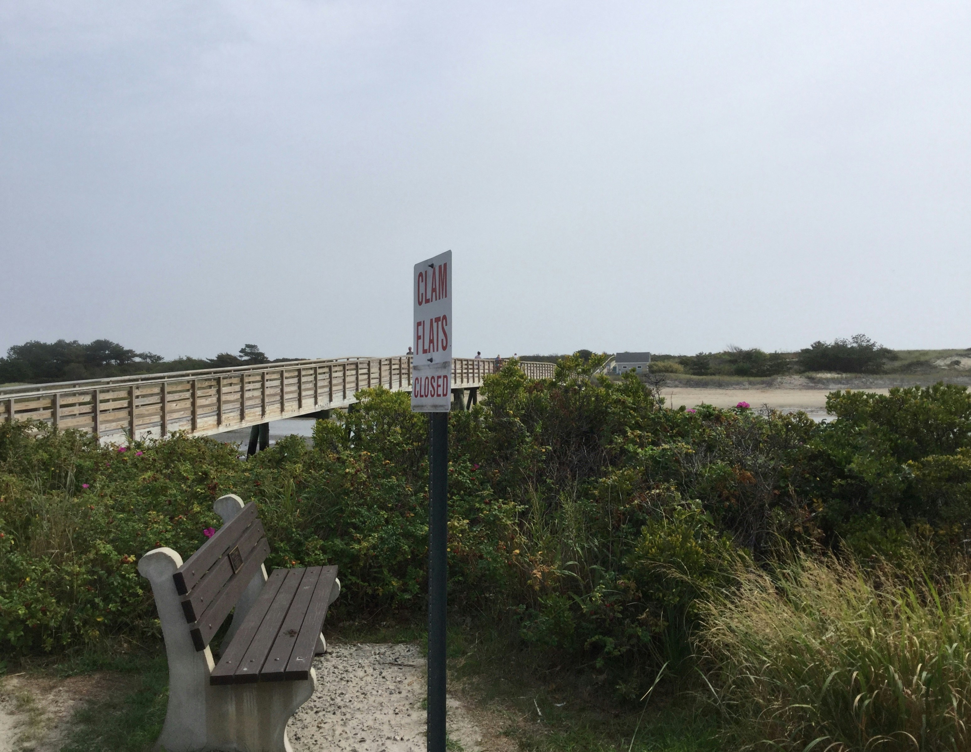 Ysabella Ray (@ysabellaray) | Communauté photos Unsplash