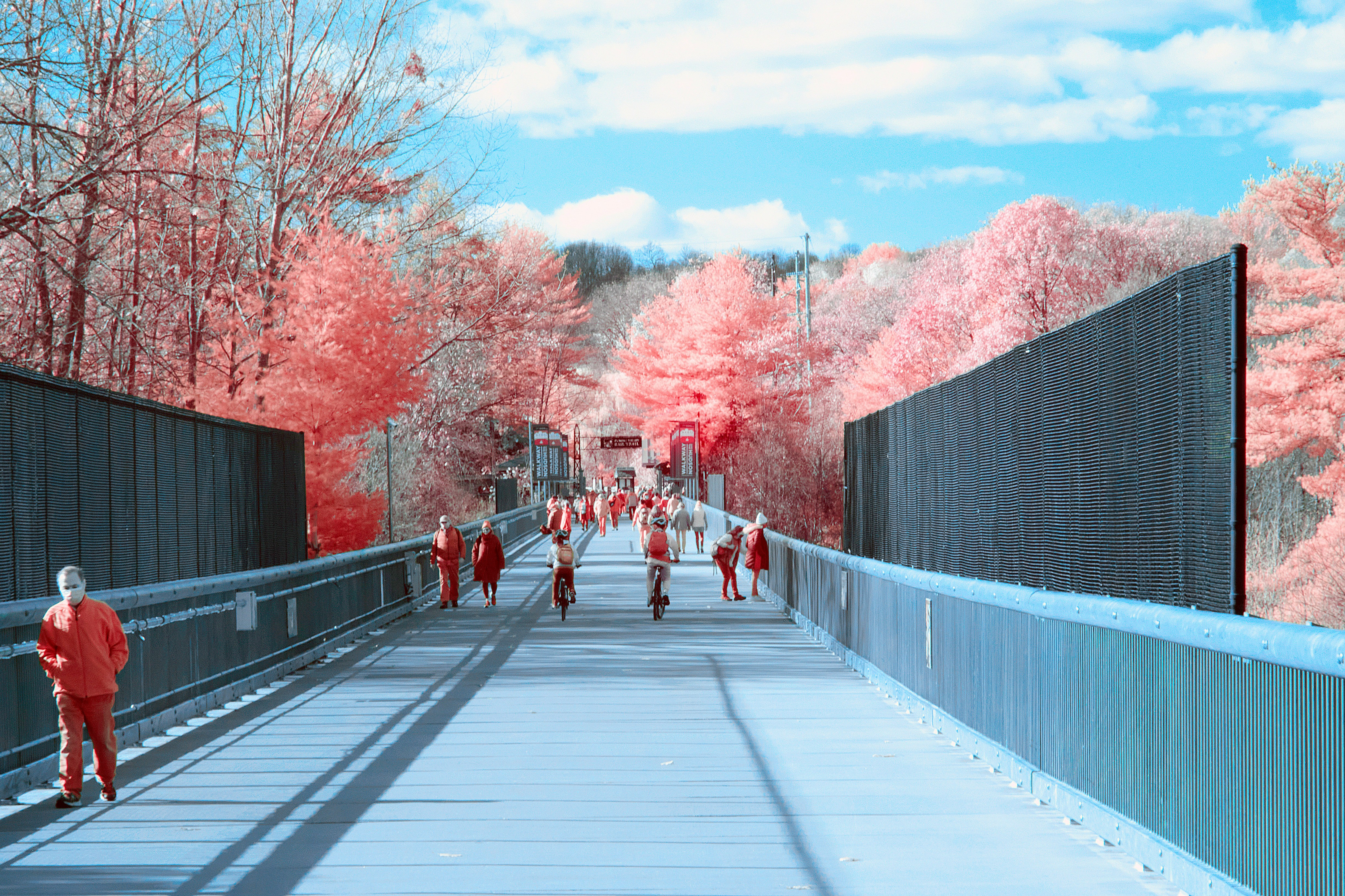 People walking and cycling on a bridge flanked by surreal red trees under a bright sky.