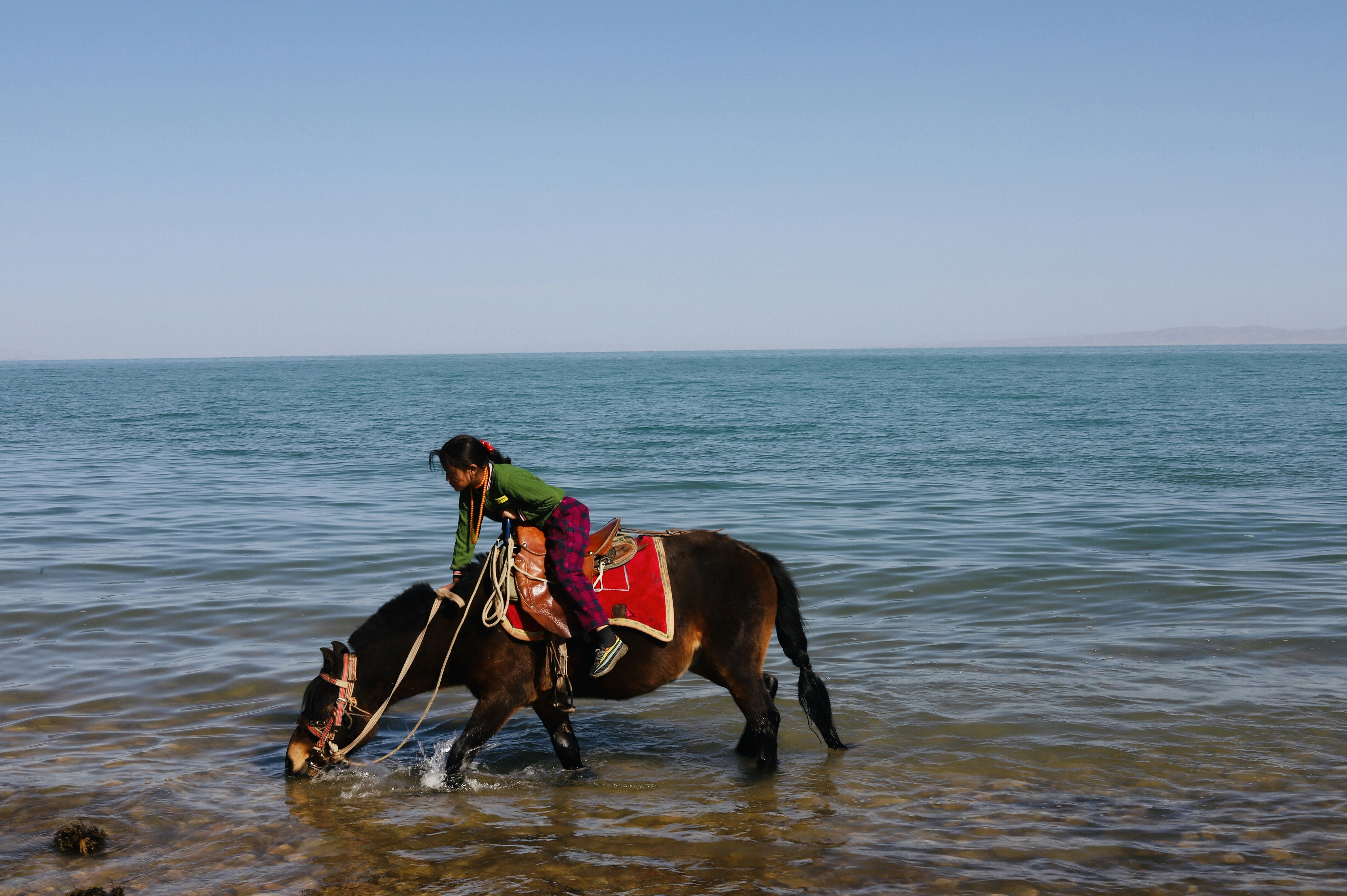 Rider and Horse at the Tidal Edge