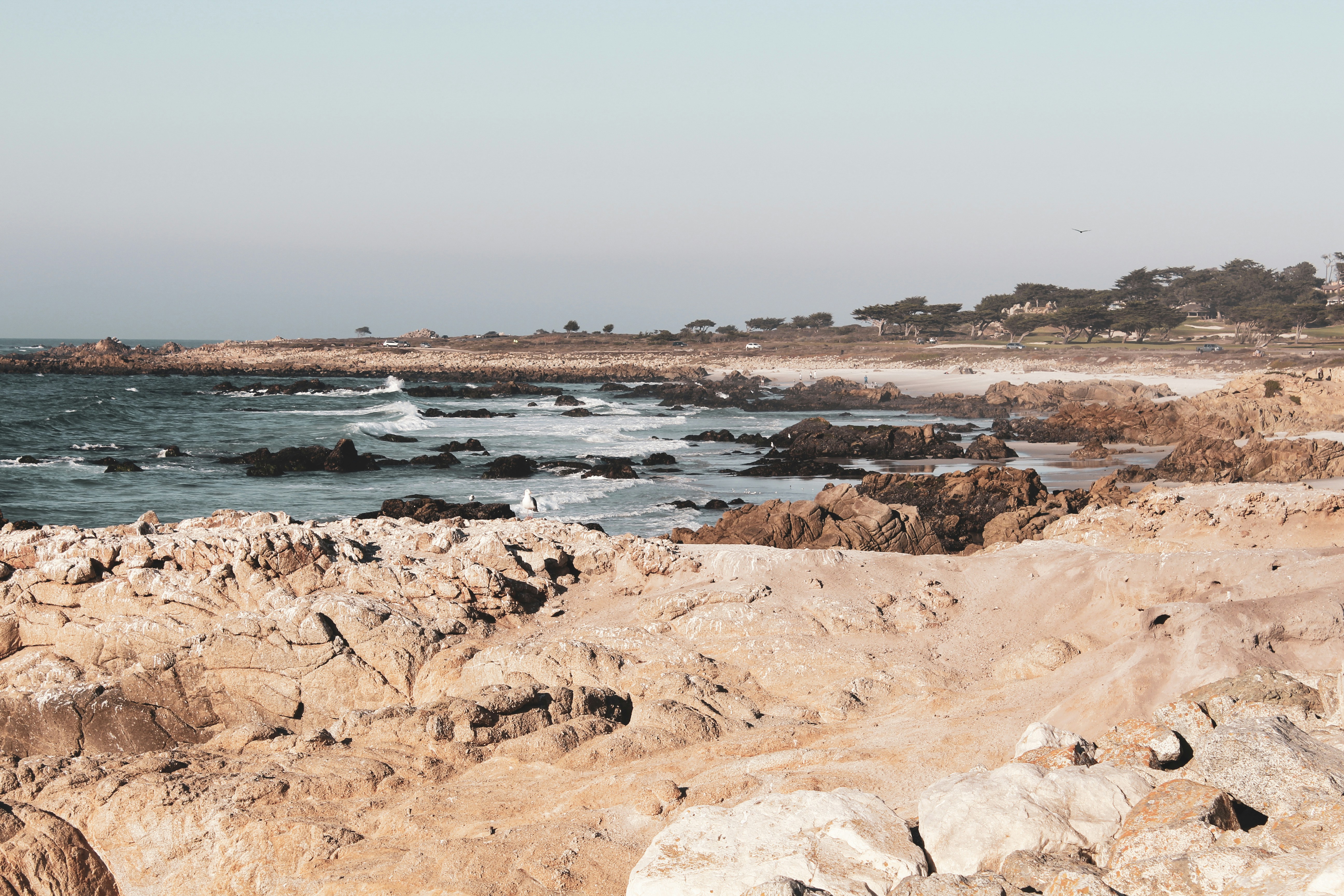 Rocky coastline with gentle waves lapping against the shore, framed by a serene sky and distant trees. The scene evokes a sense of tranquility.