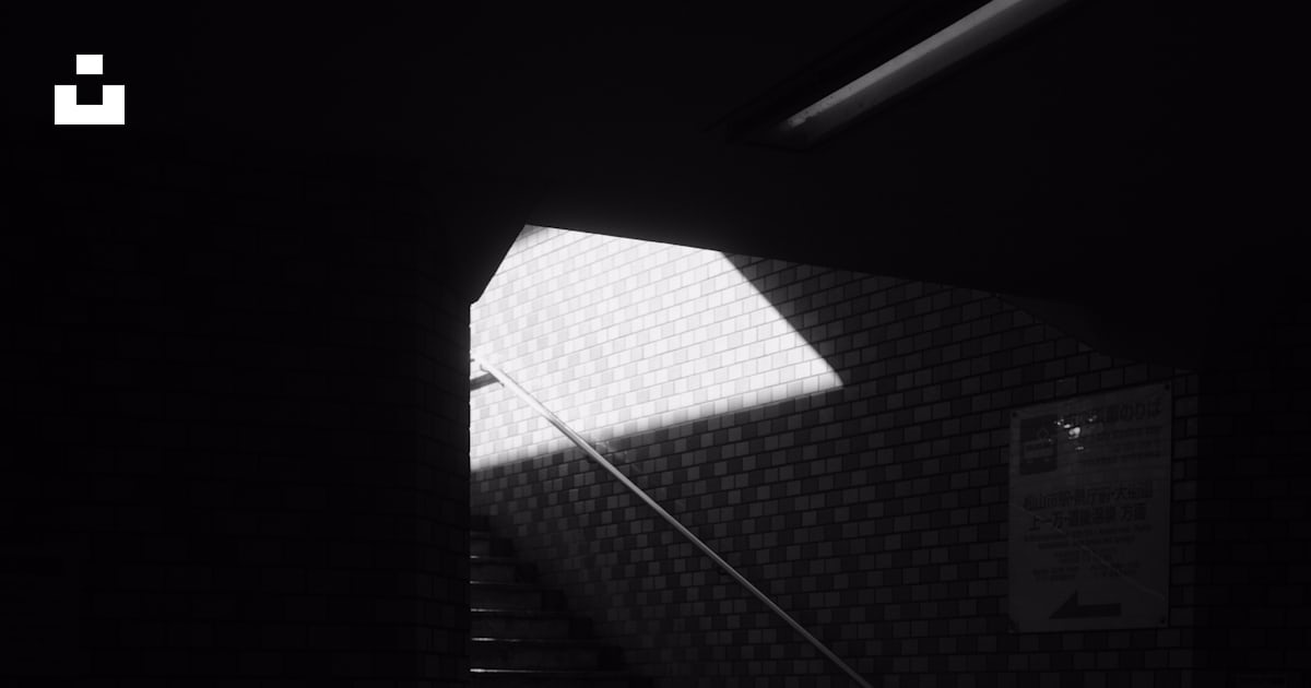 콘크리트 계단의 회색조 사진 사진 Unsplash의 무료 하얀 이미지