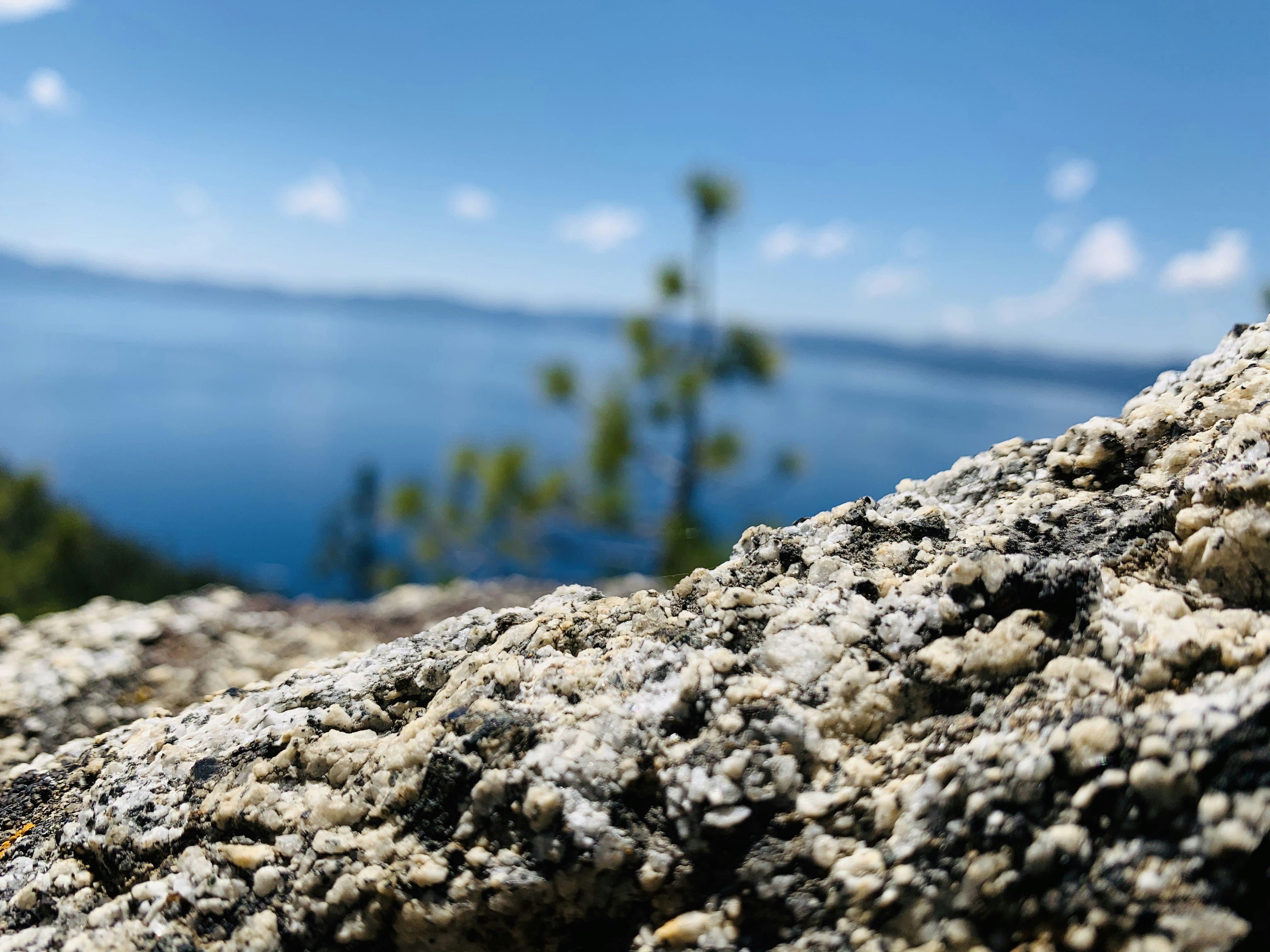 the rock, the lake, the tree