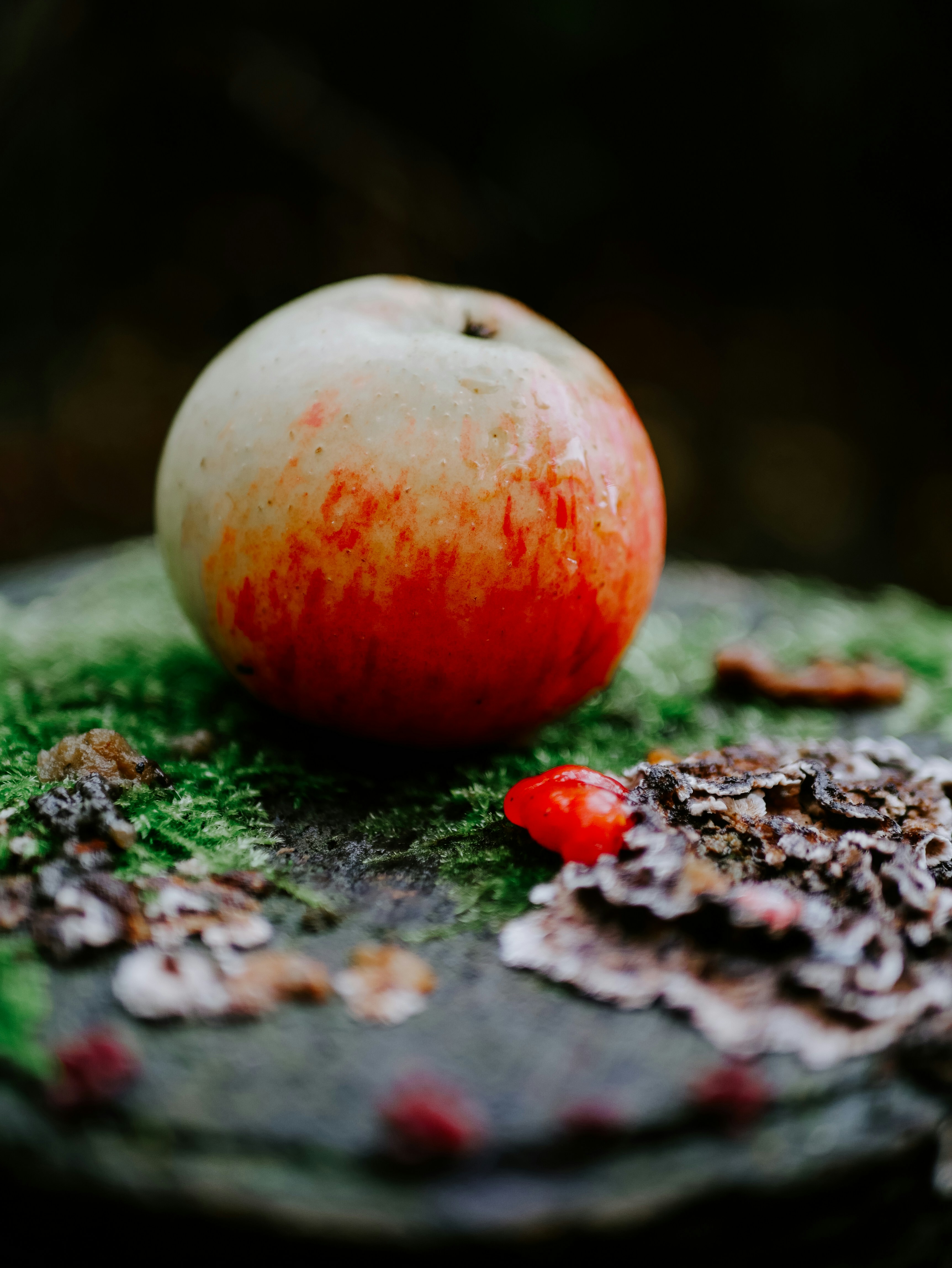 Crimson Apple on a Mossy Stage