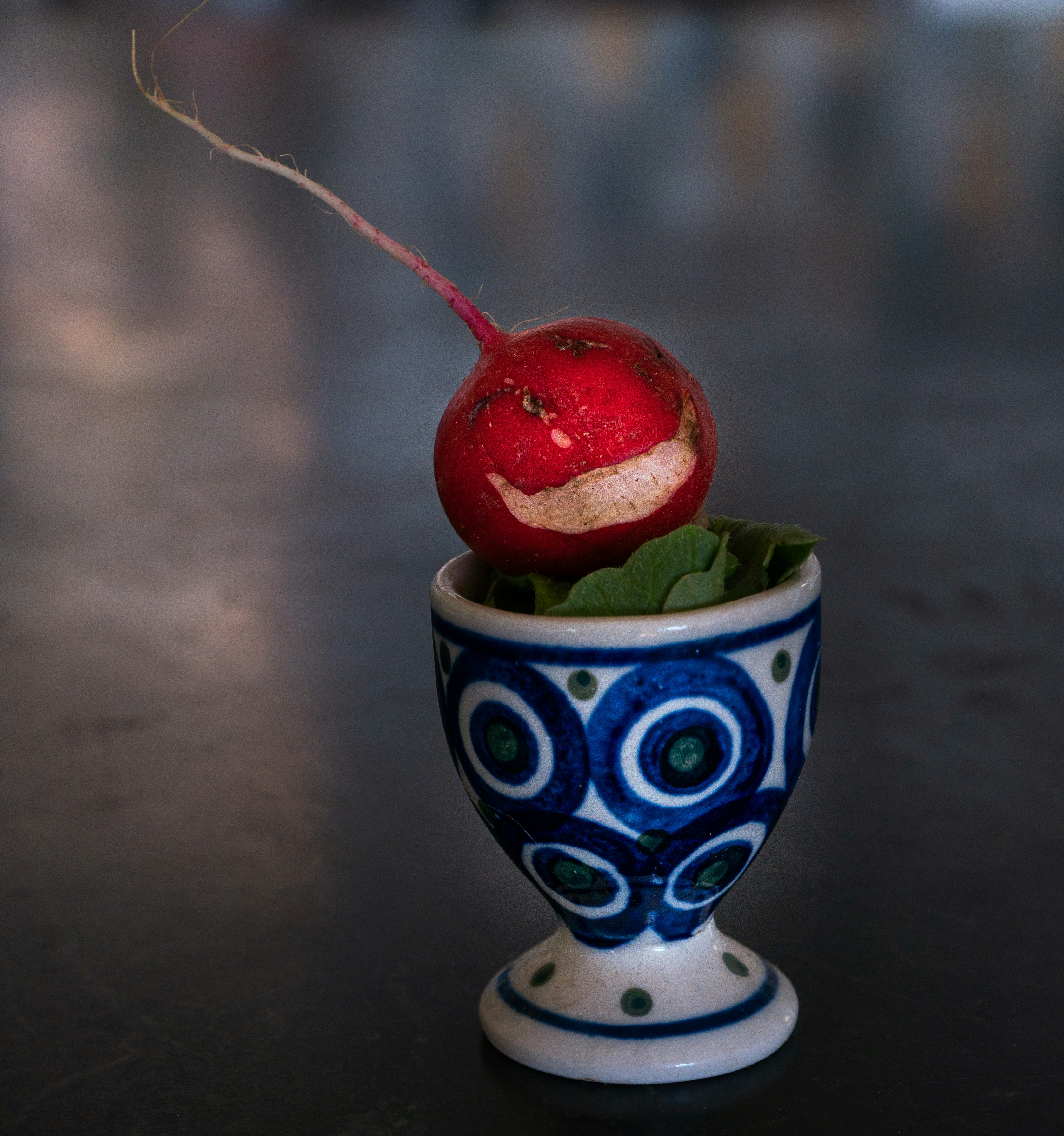 Crimson Radish Crowned in Delft-Blue: A Minimalist Cup Still Life