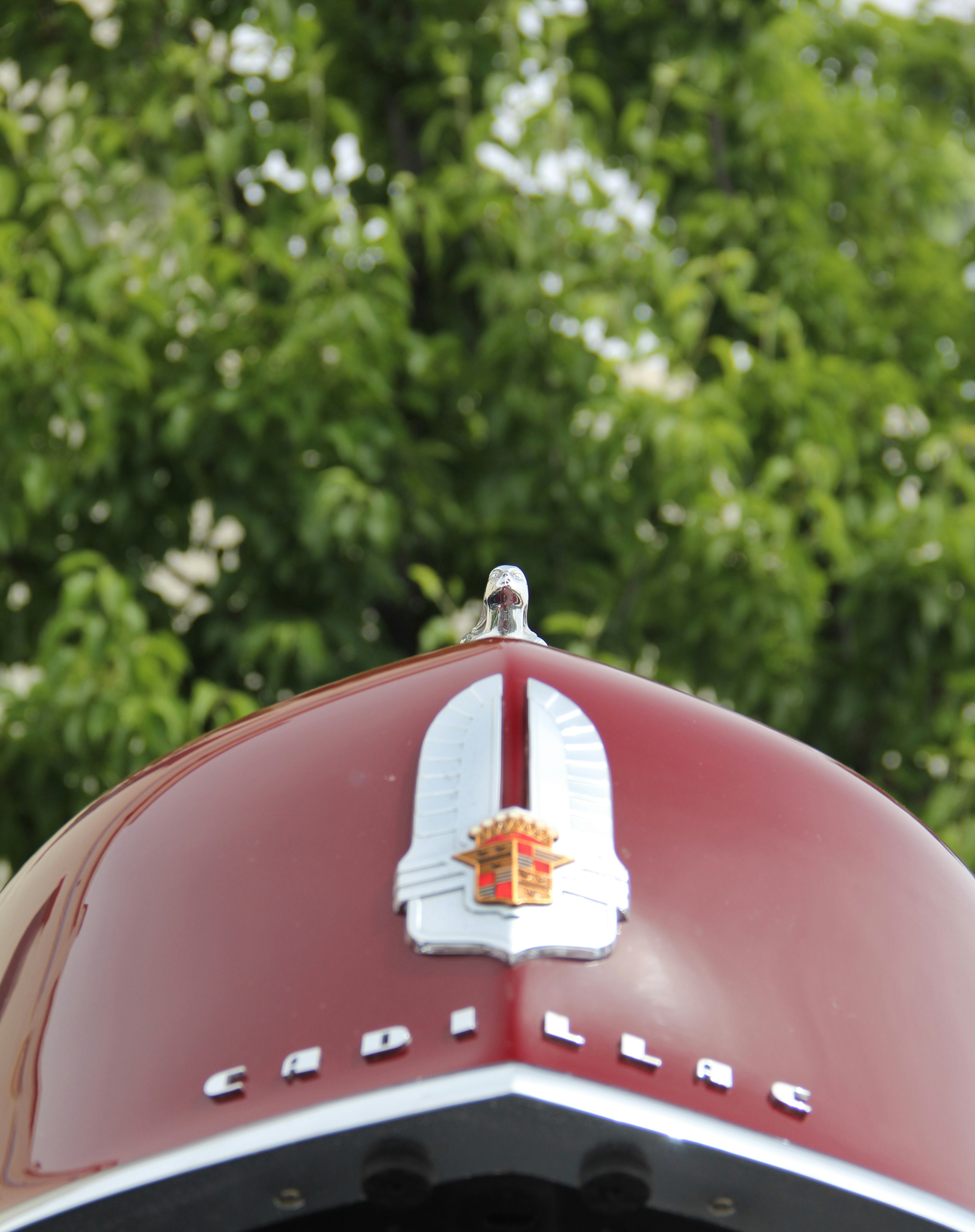 red and white snow globe