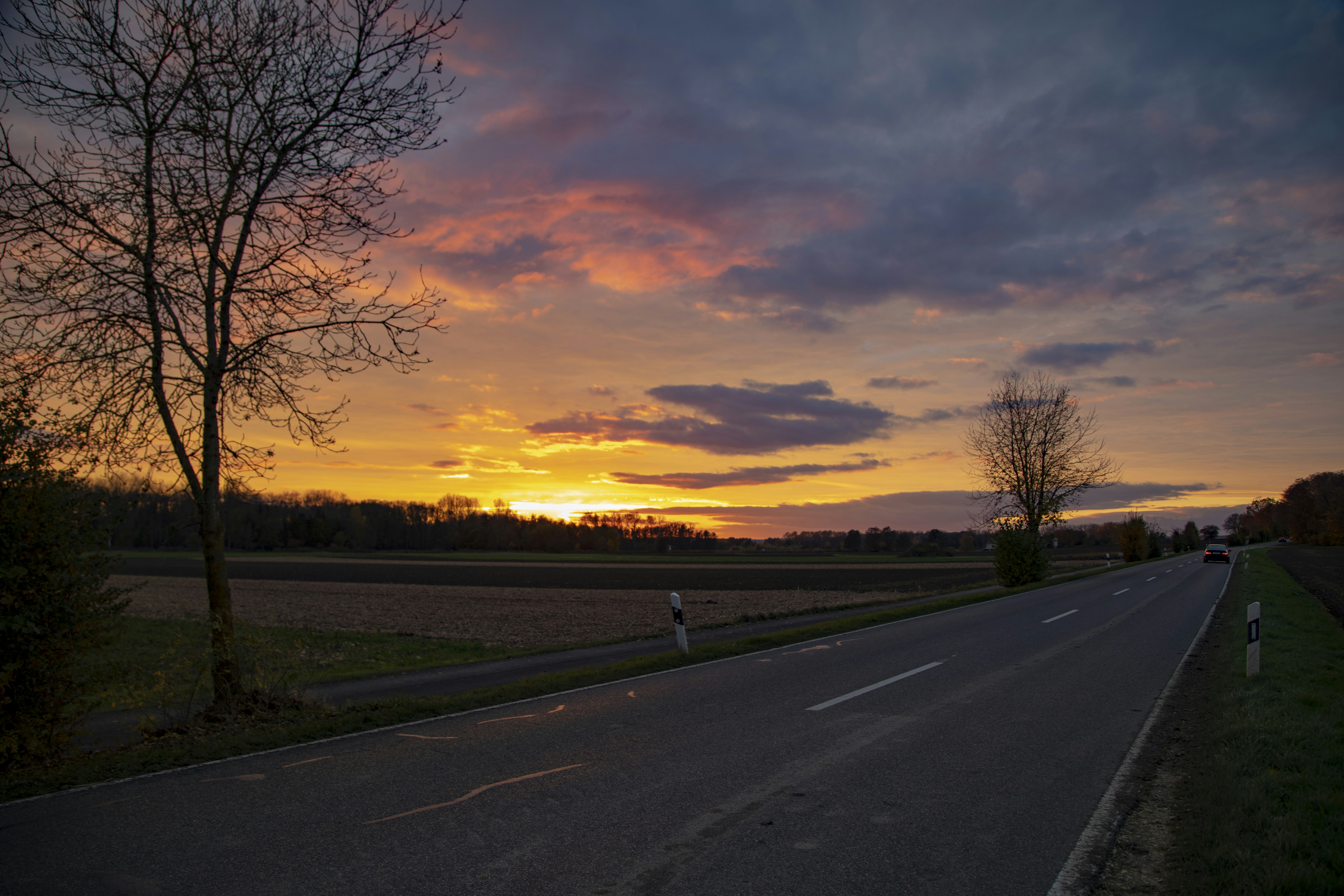 Norbert Staudt (@buxnor) | Communauté photos Unsplash