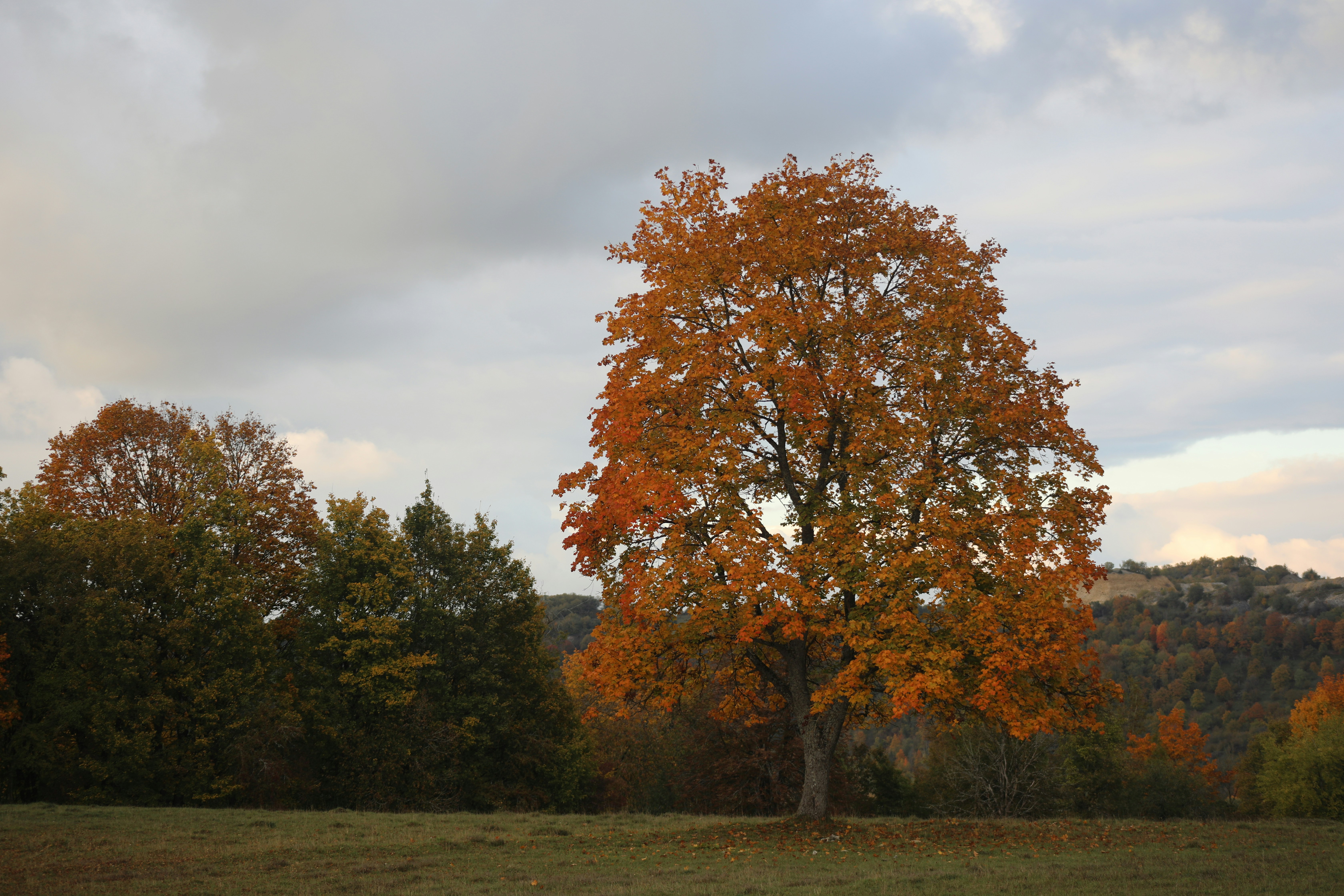 Norbert Staudt (@buxnor) | Communauté photos Unsplash