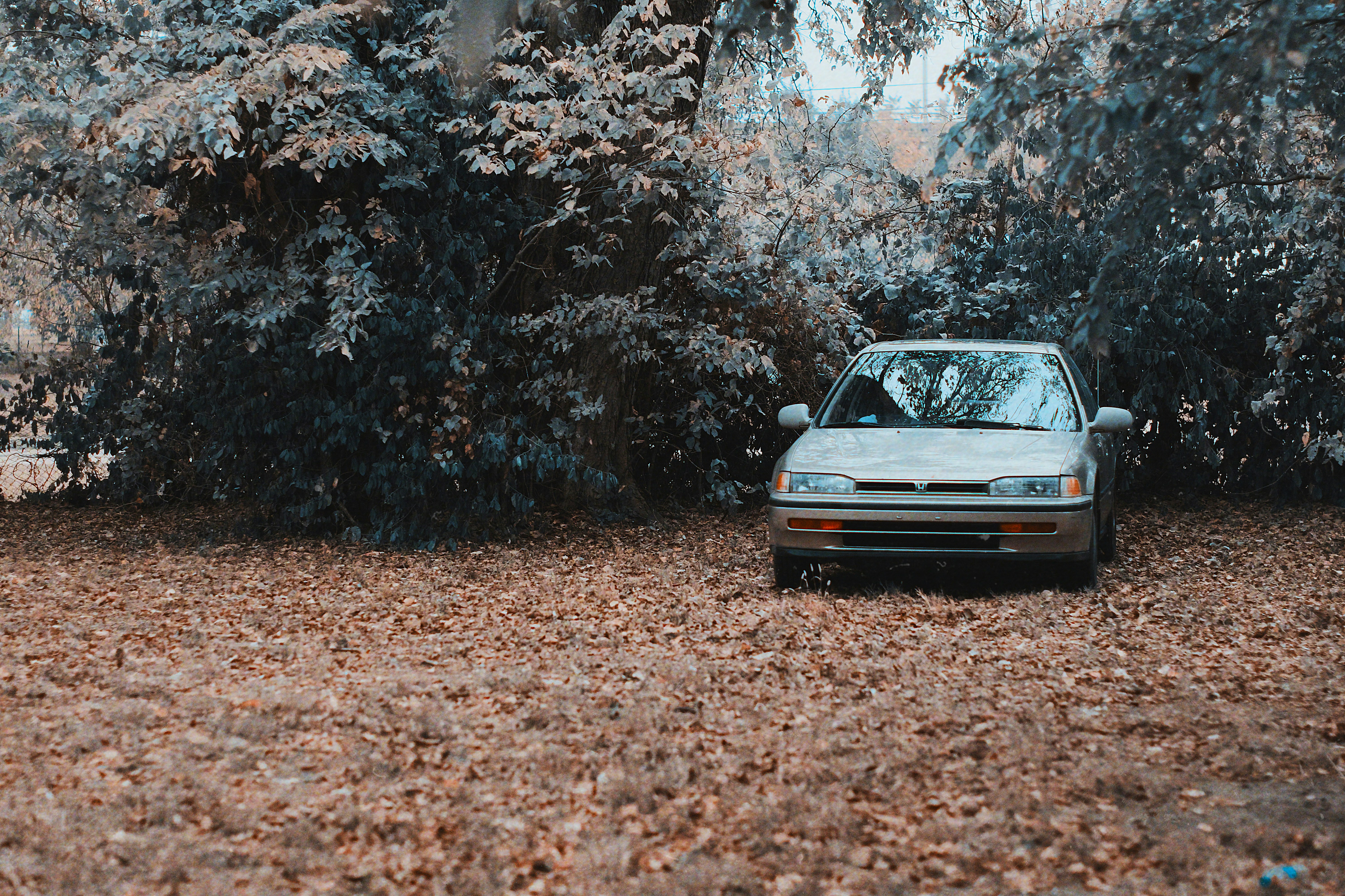 A vintage car partially hidden among colorful autumn foliage, surrounded by fallen leaves in a serene outdoor setting.