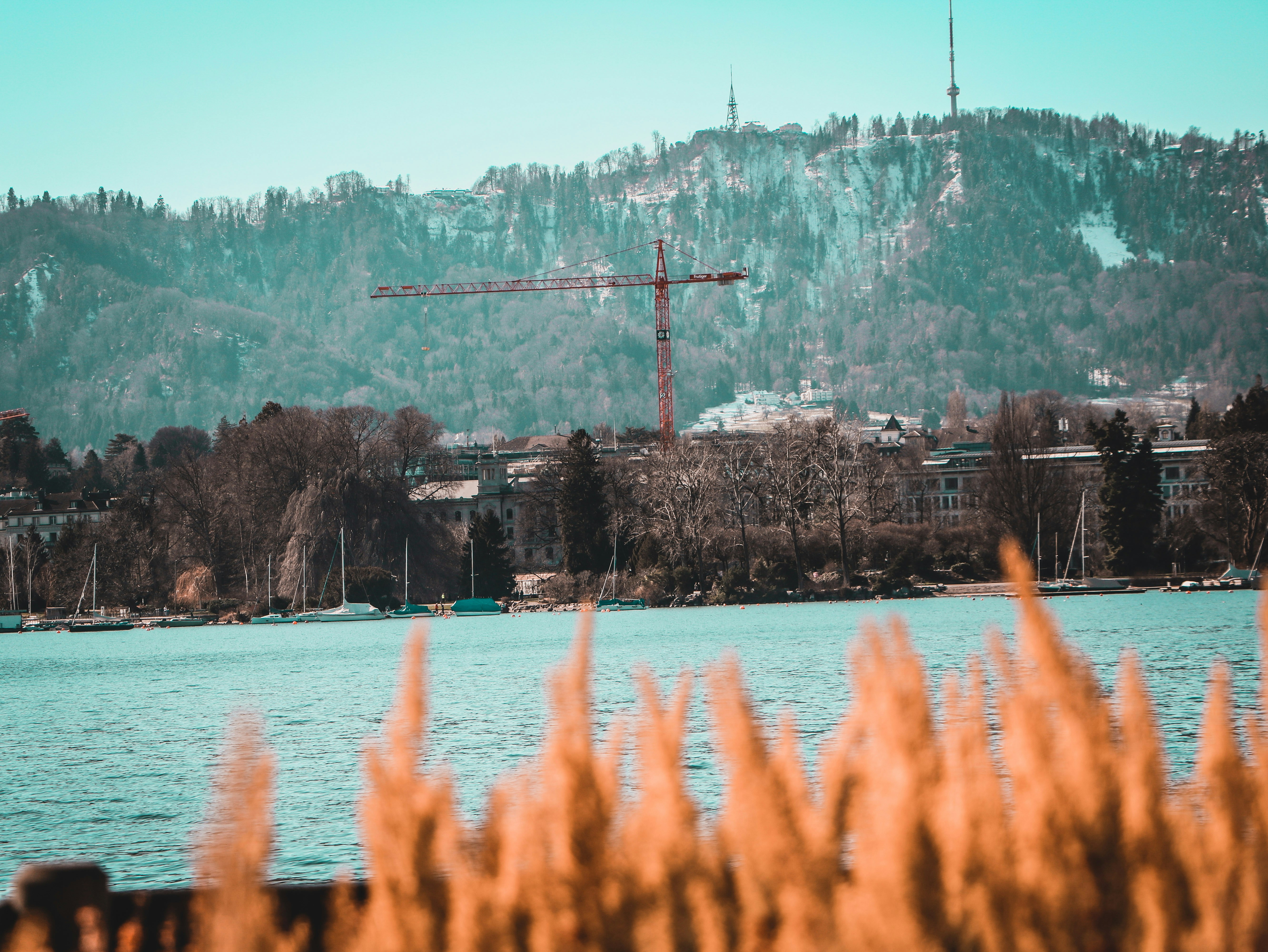 Golden grasses frame a tranquil lake scene with distant mountains and a construction crane, illustrating the balance between nature and urban development.