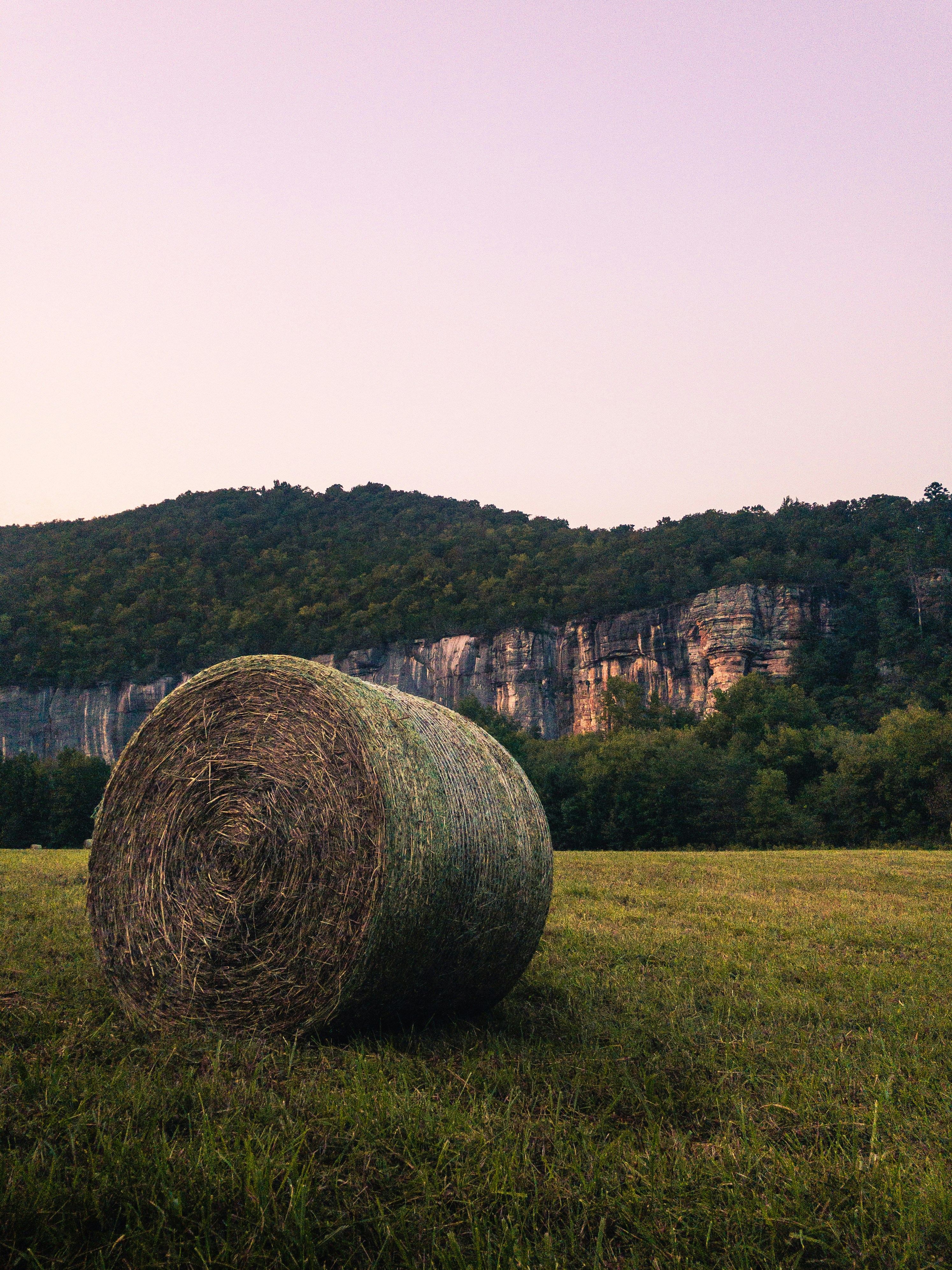 Brown round grass on green grass field during daytime photo – Free ...