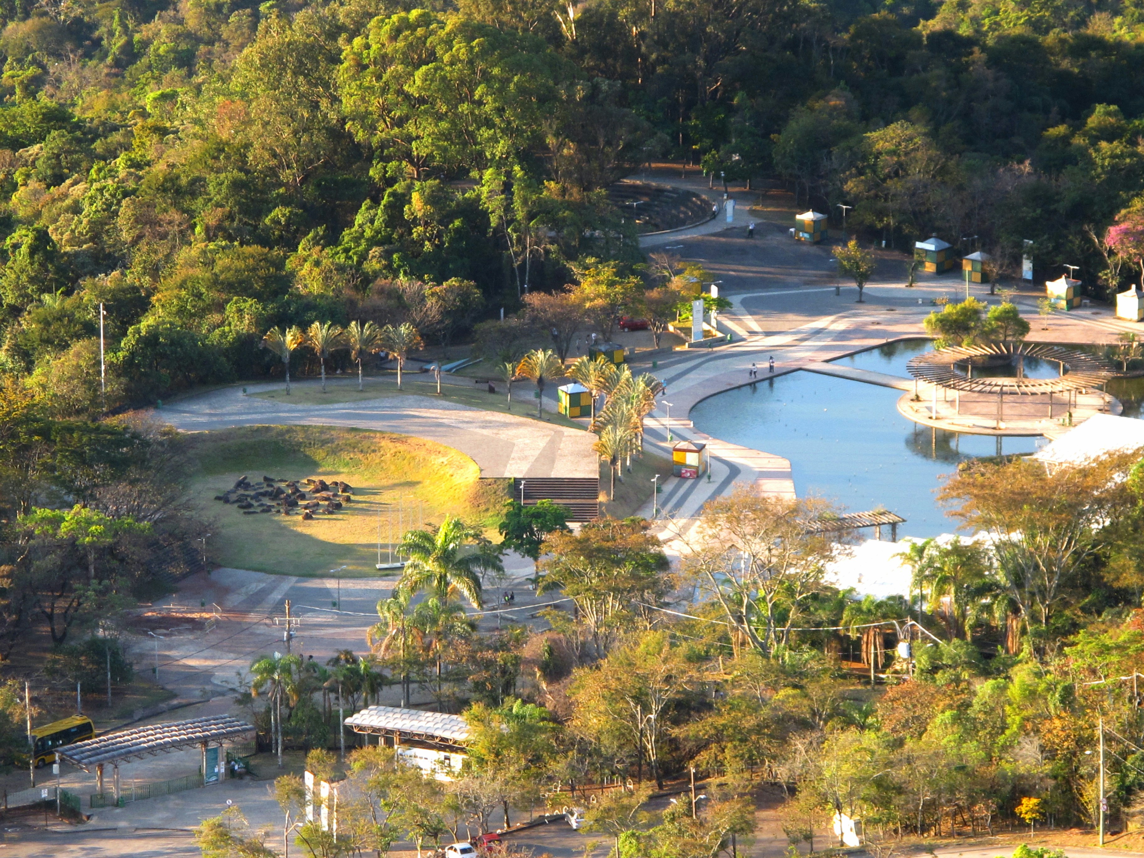 Aerial photograph of a sunlit park featuring a circular pool and winding paths among dense trees.