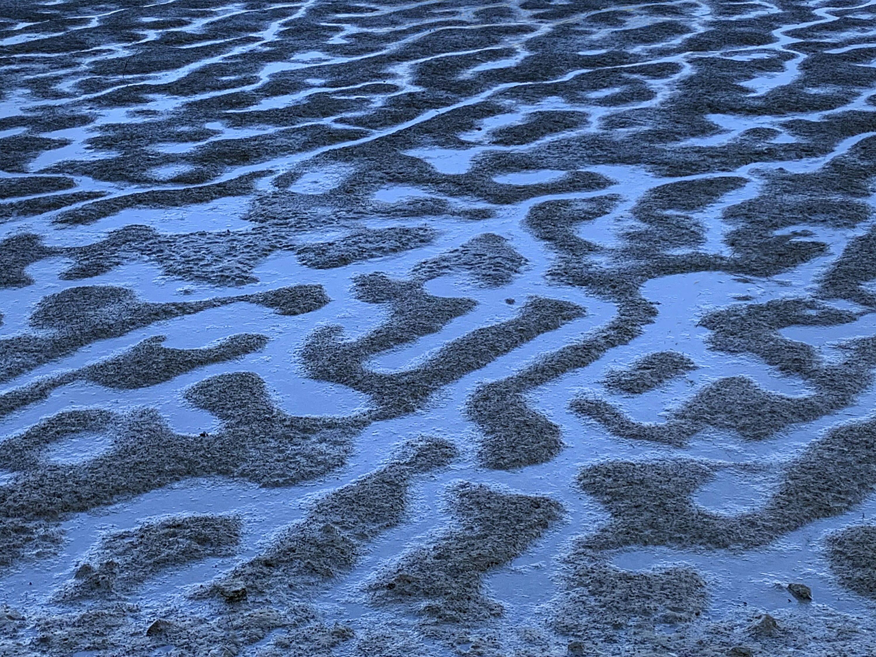 Blue Rippletide: Quiet Geometry of Wet Sand at Low Tide