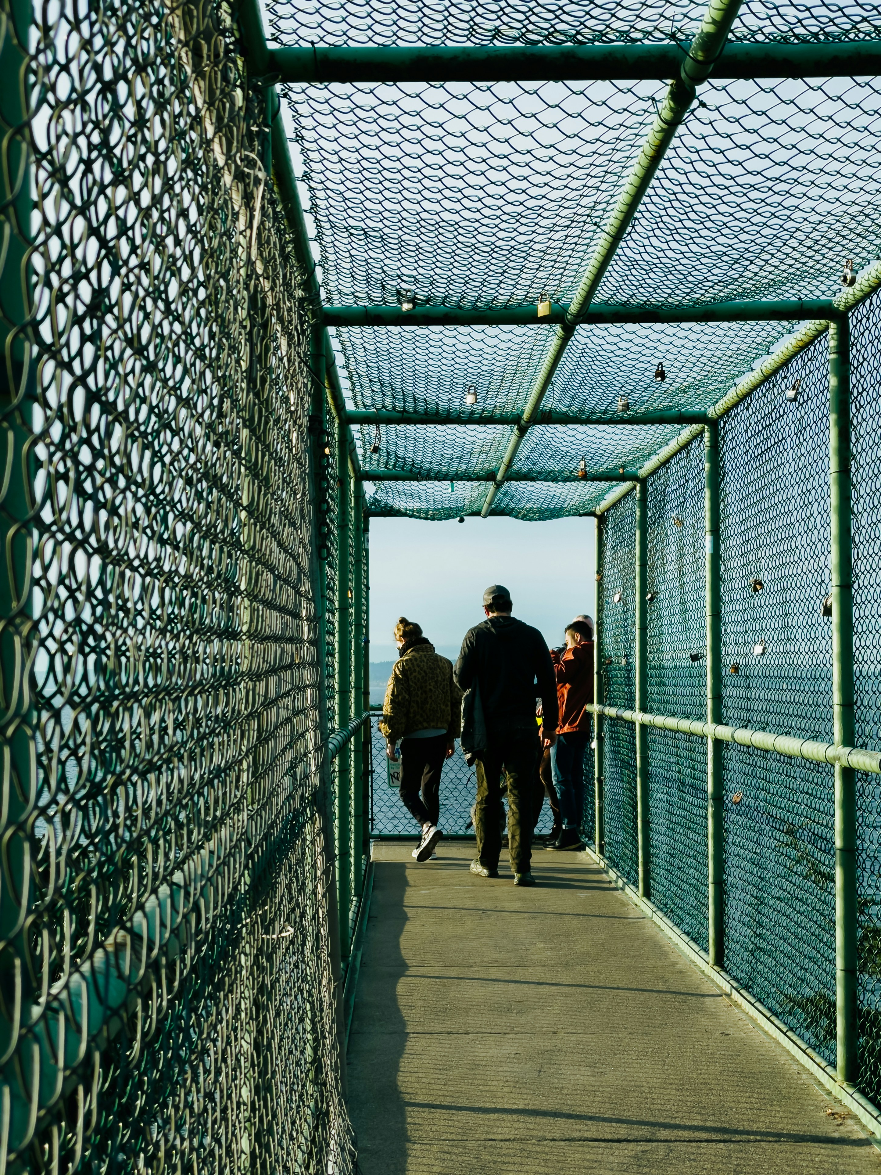 Green Mesh Corridor to the Sea: Four Walkers Converge at the Horizon