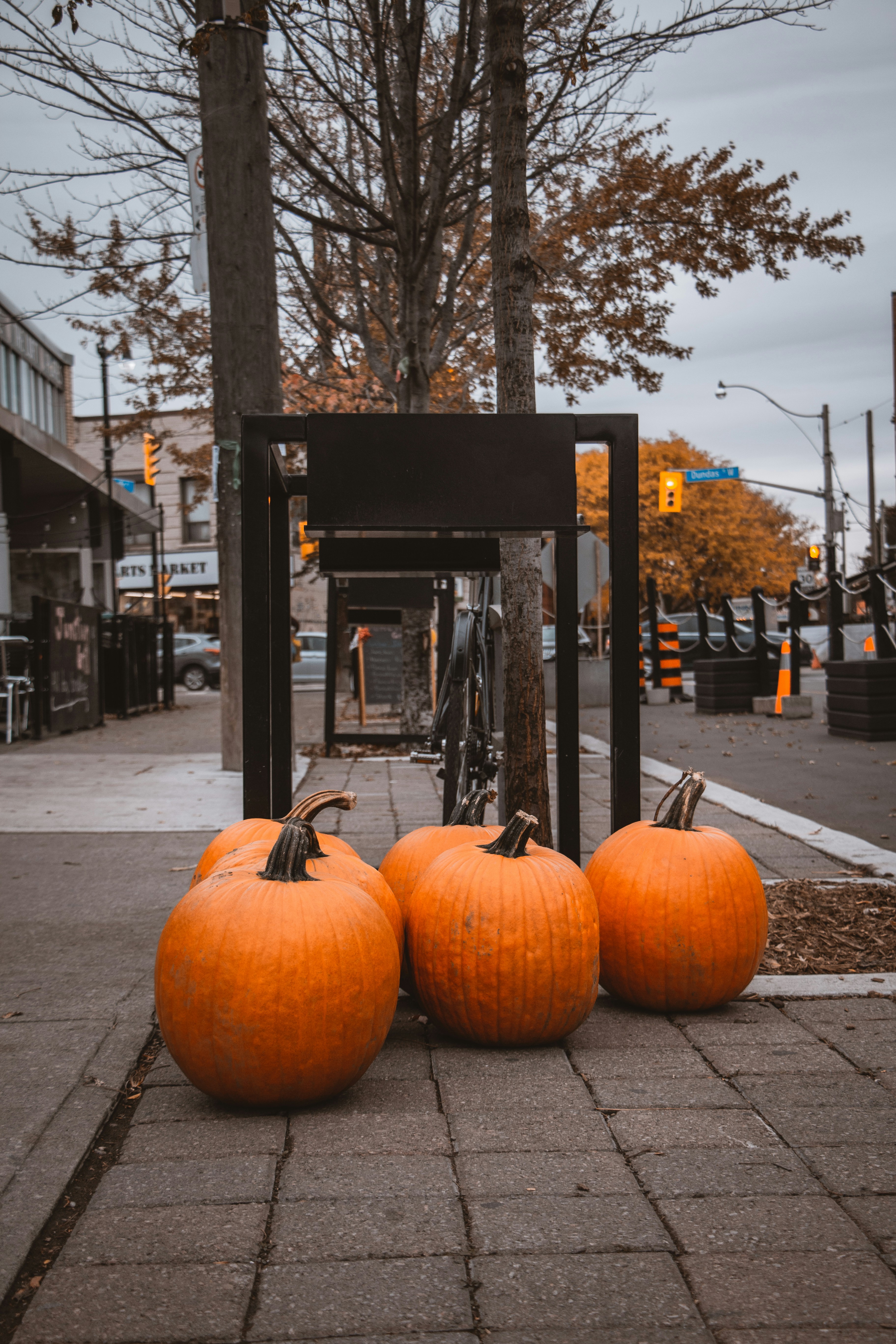 Five vibrant pumpkins arranged on a city sidewalk, framed by autumn foliage and urban elements. A bicycle is partially visible in the background.