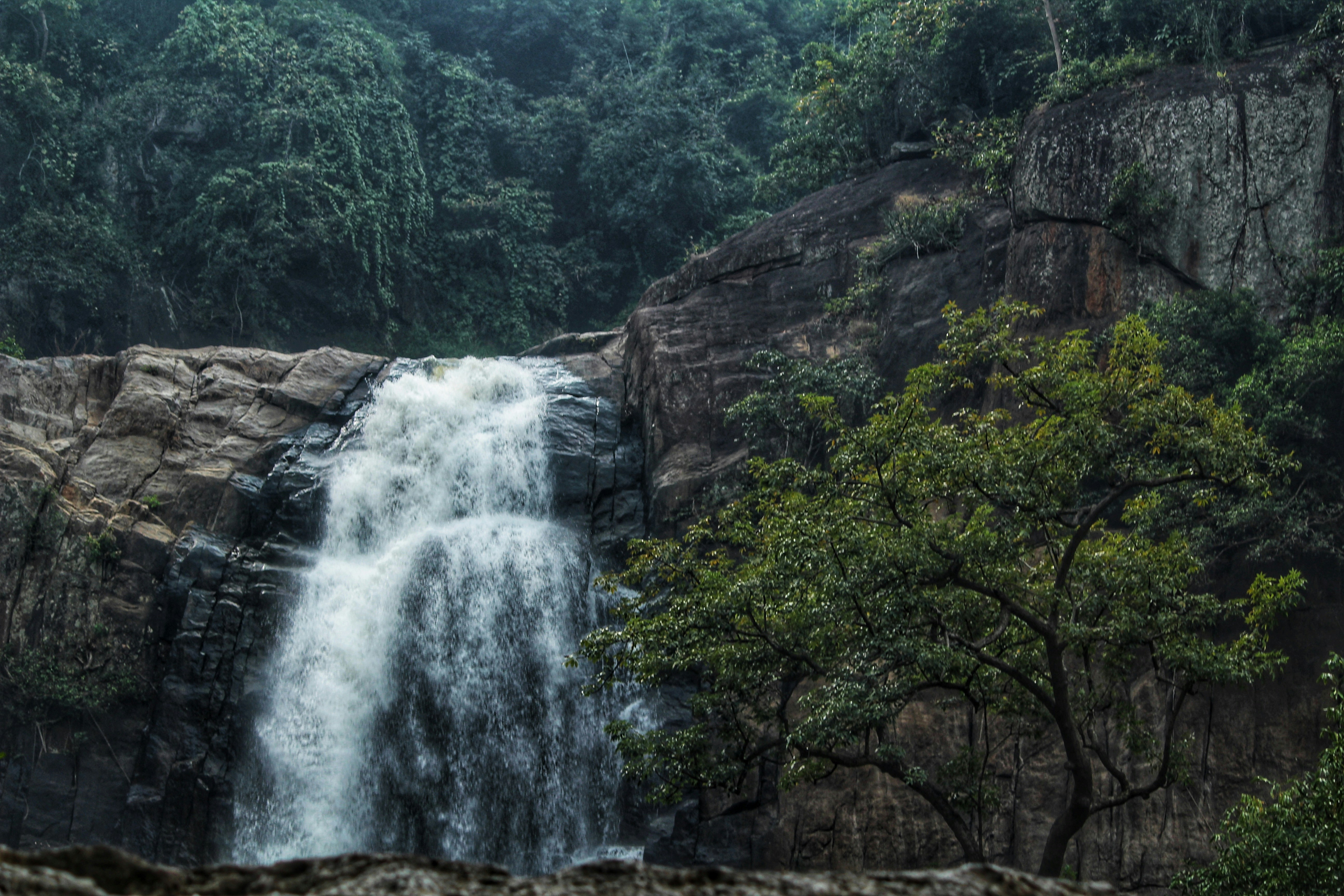 Waterfalls in the middle of green trees photo – Free Odisha Image on ...