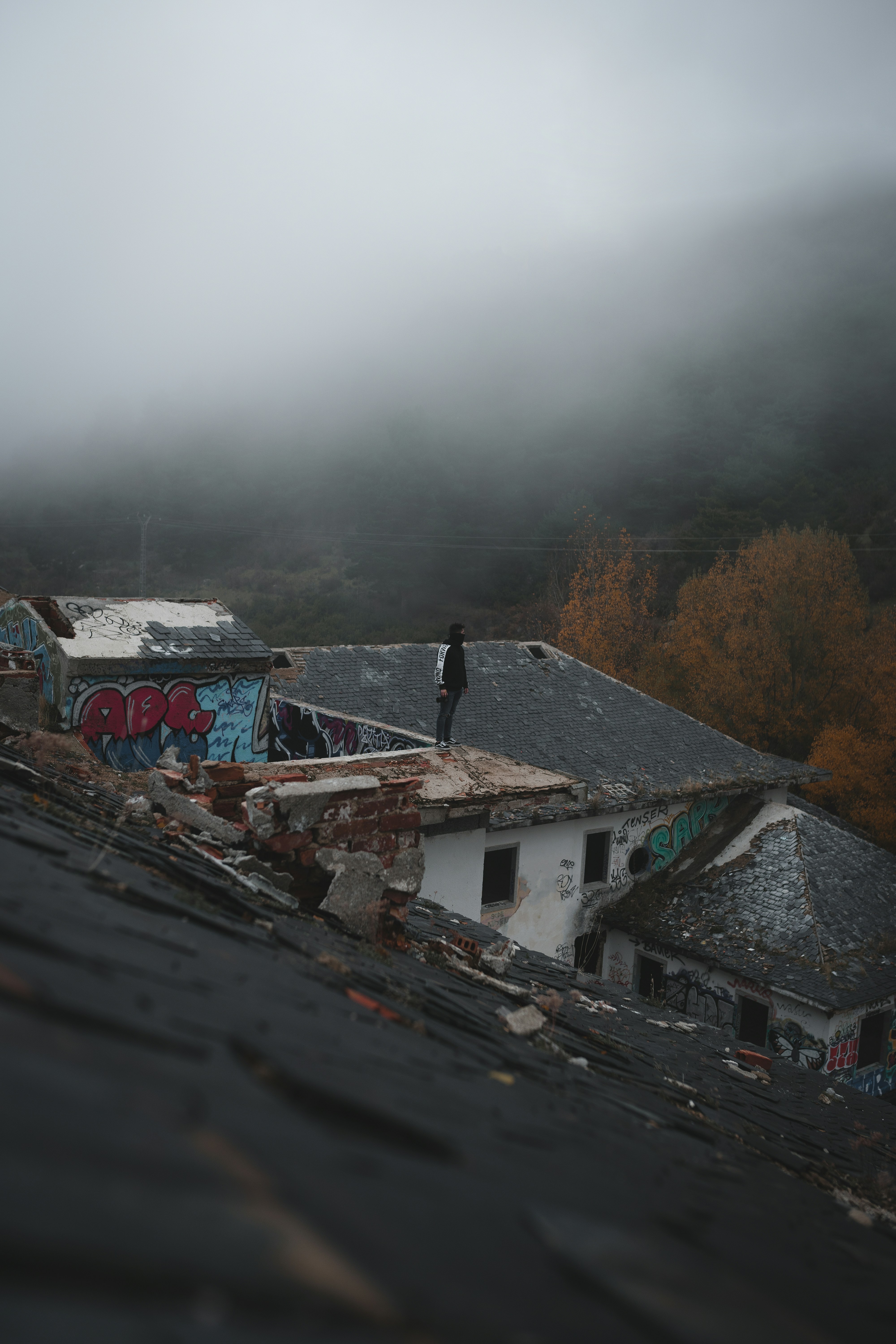 A lone figure stands on a graffiti-covered rooftop, surrounded by fog and autumn foliage, evoking a sense of isolation and exploration.