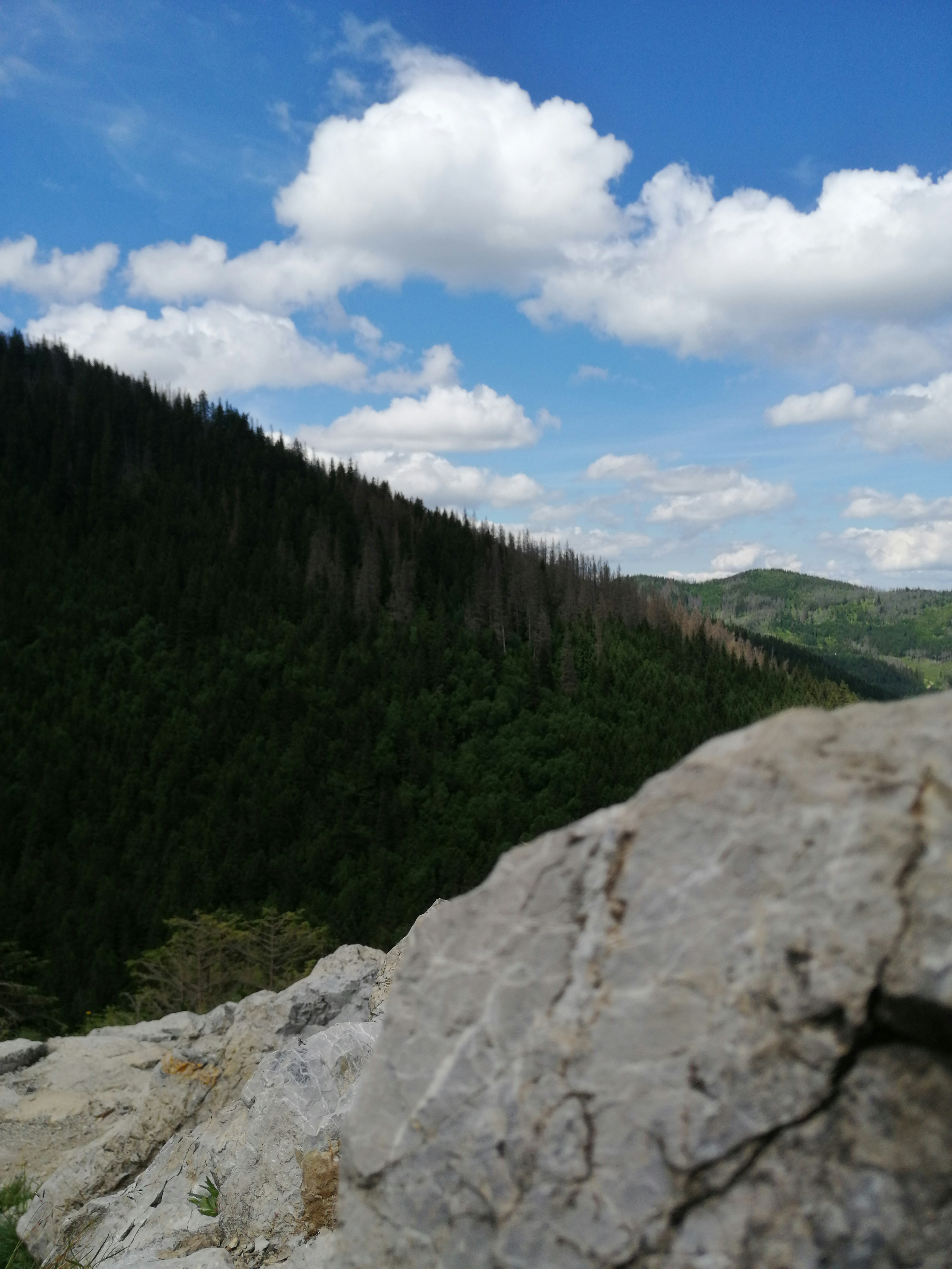 Close-up of a rugged rock foreground with lush green hills and a blue sky dotted with clouds in the background.