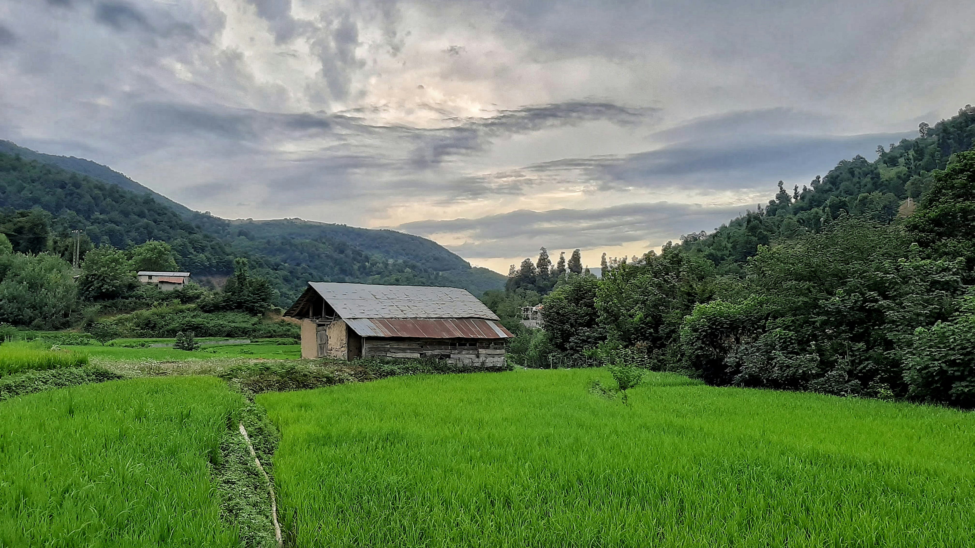 MERT MEHDI (@mert_mehdi) | Unsplash Photo Community