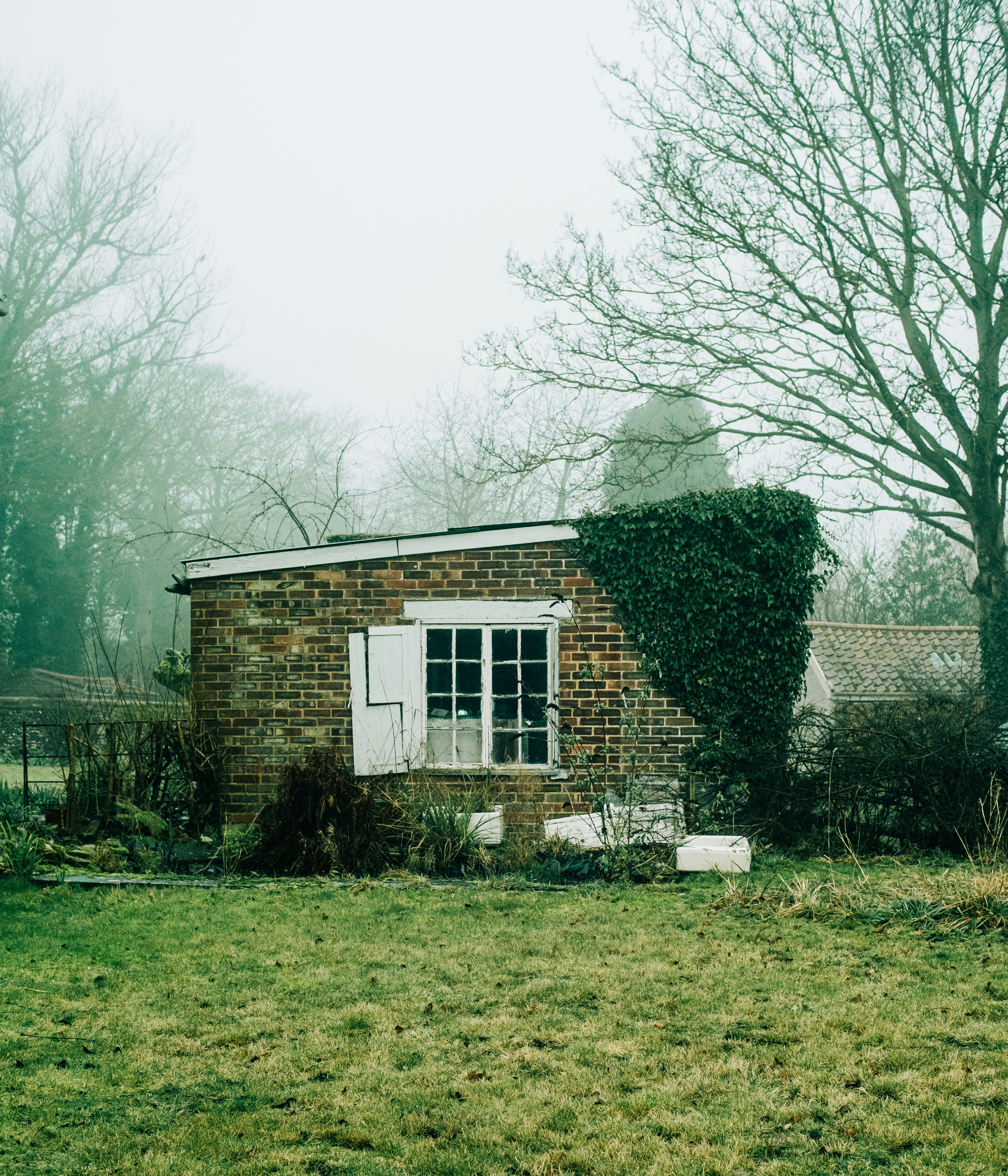 Abandoned brick shed enveloped in ivy, surrounded by a misty landscape and bare trees. A glimpse into nature reclaiming its space.