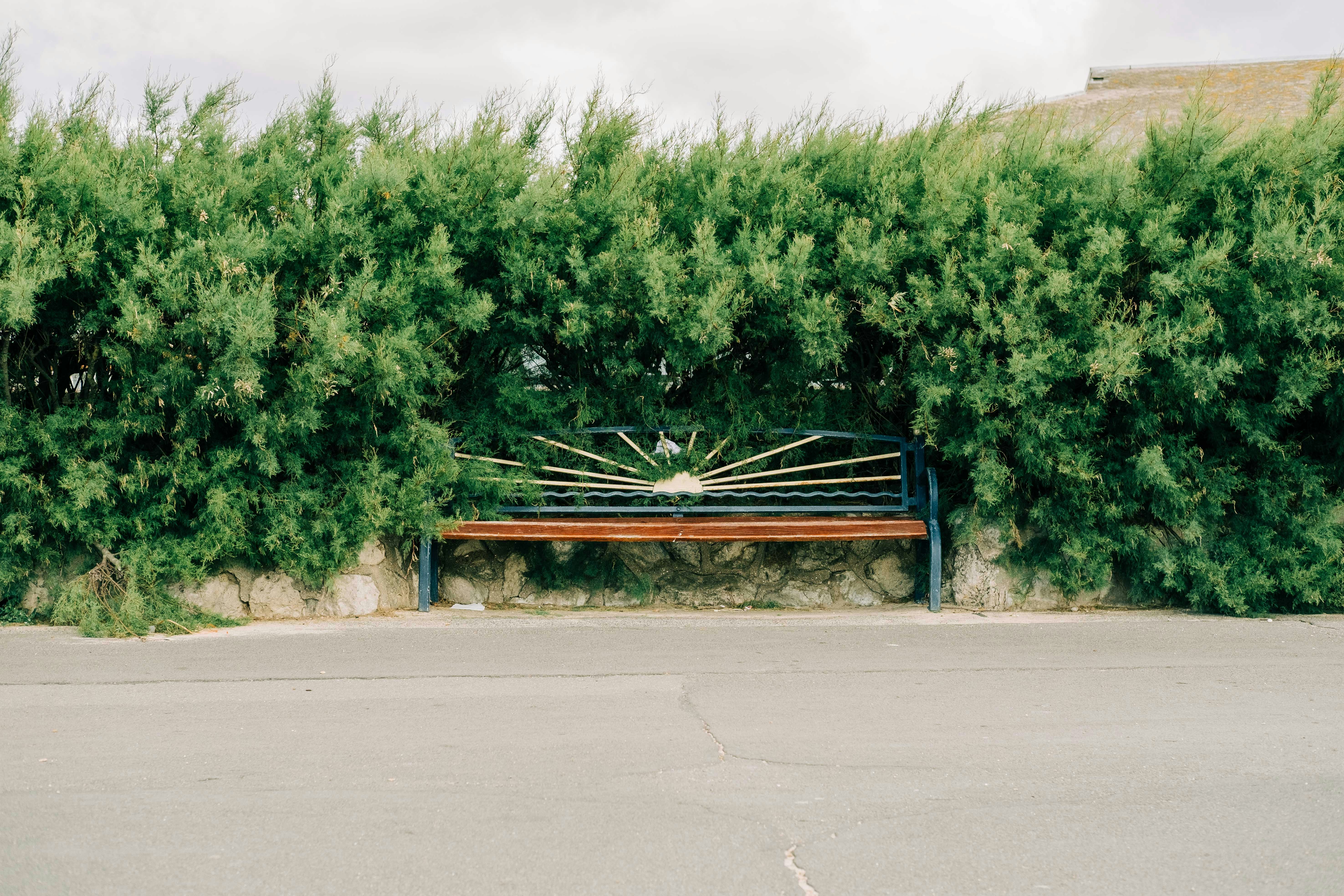 A rustic bench nestled within a lush green hedge, creating a serene spot for rest and reflection.