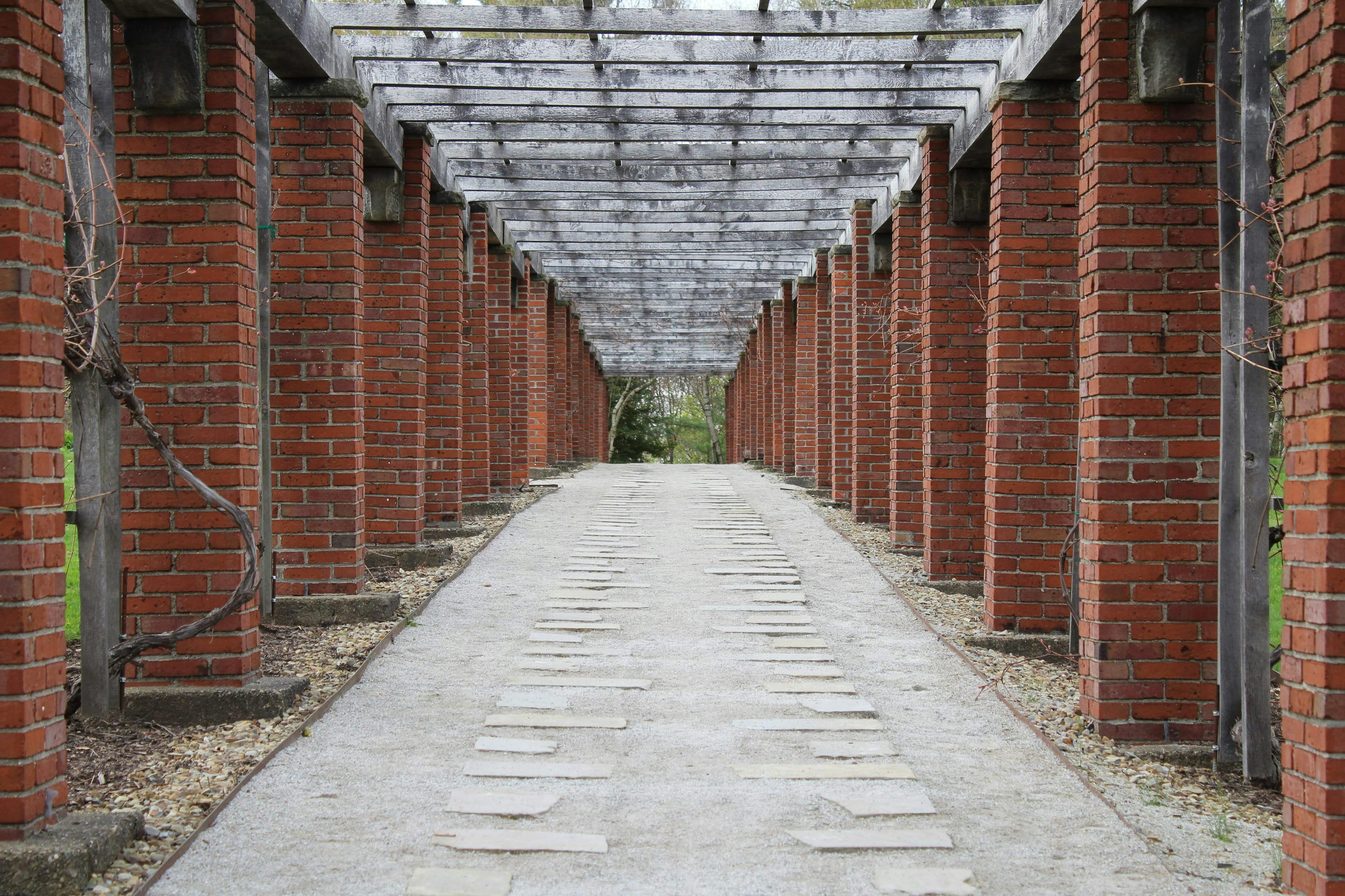 Gray concrete pathway between red brick wall photo – Free Path Image on ...