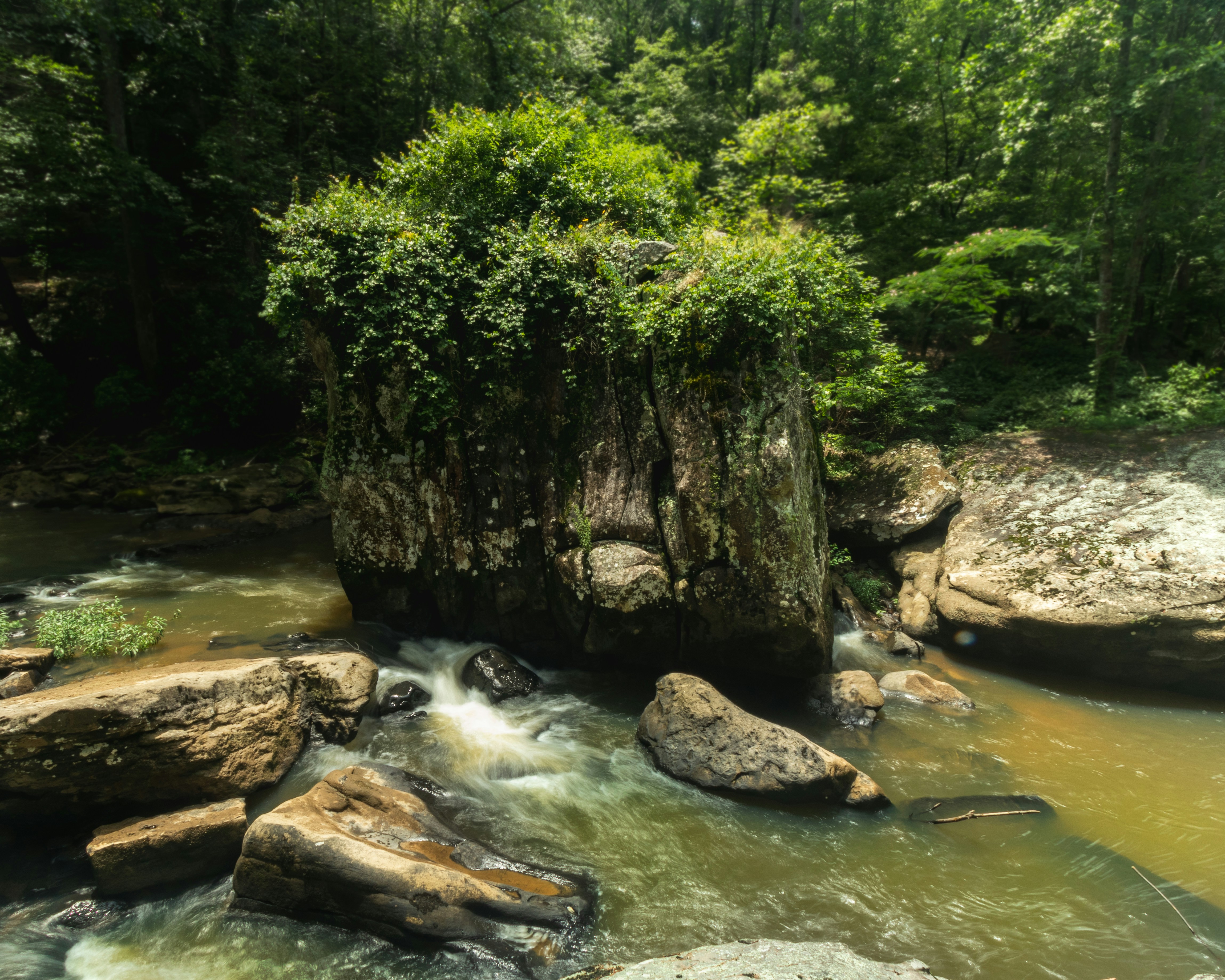 Lush greenery crowns a rugged rock formation amidst a flowing stream, showcasing the harmony of stone and water in a serene forest setting.