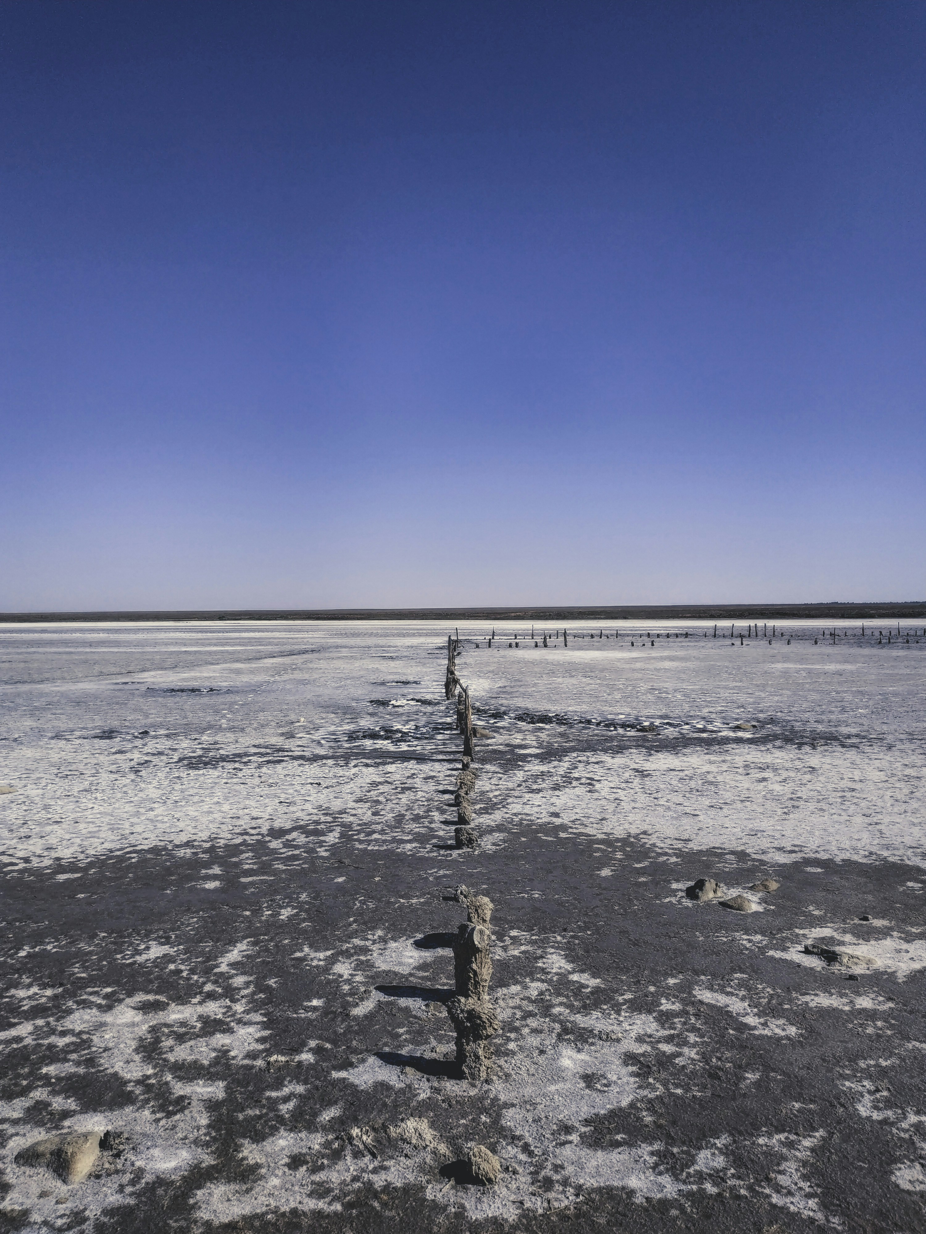 Salt-Flat Arrow: Weathered Posts Thread Toward a Quiet Horizon