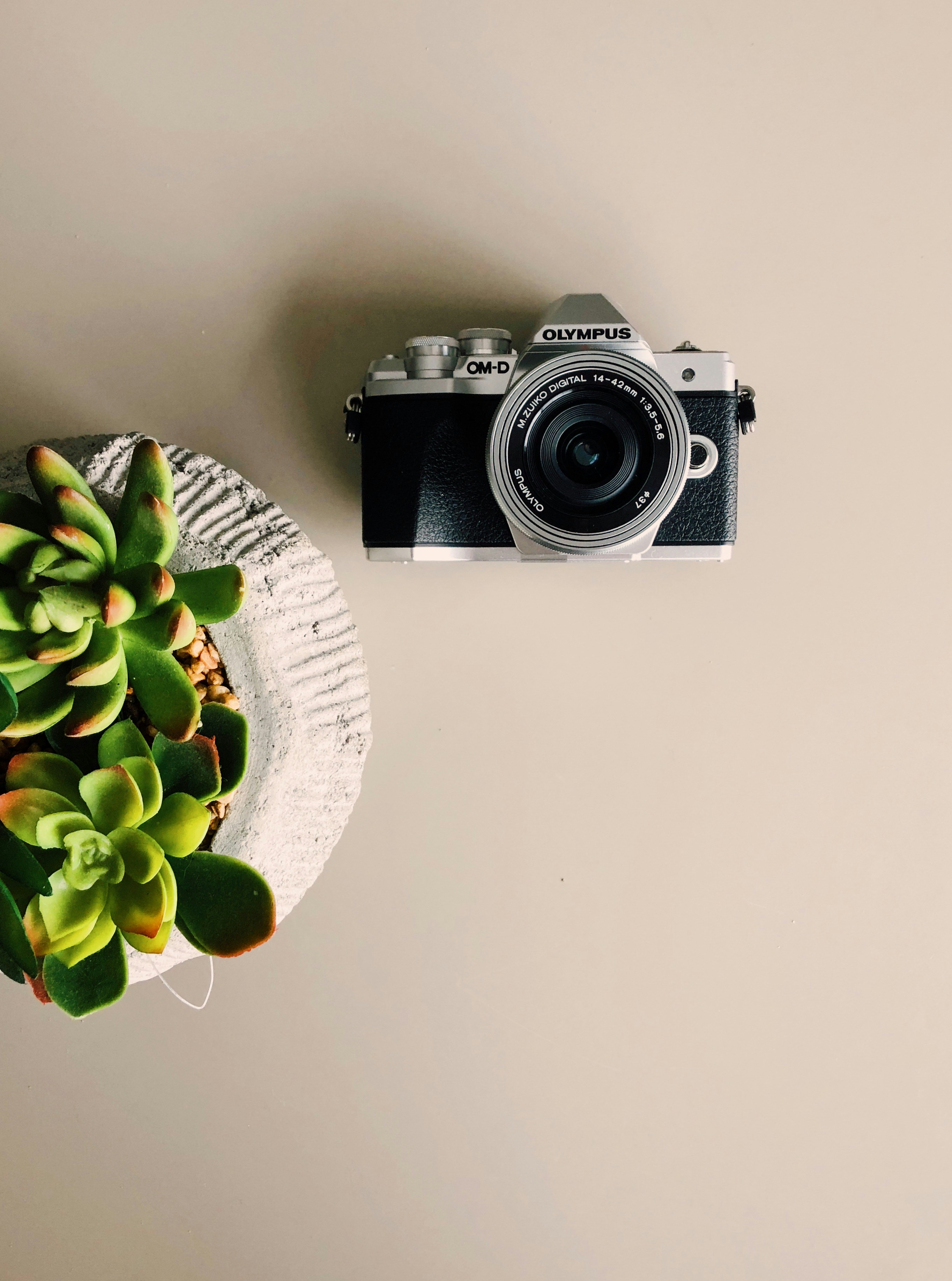 Olympus OM-D camera positioned above a succulent plant in a textured pot. The composition highlights the harmony between technology and nature.