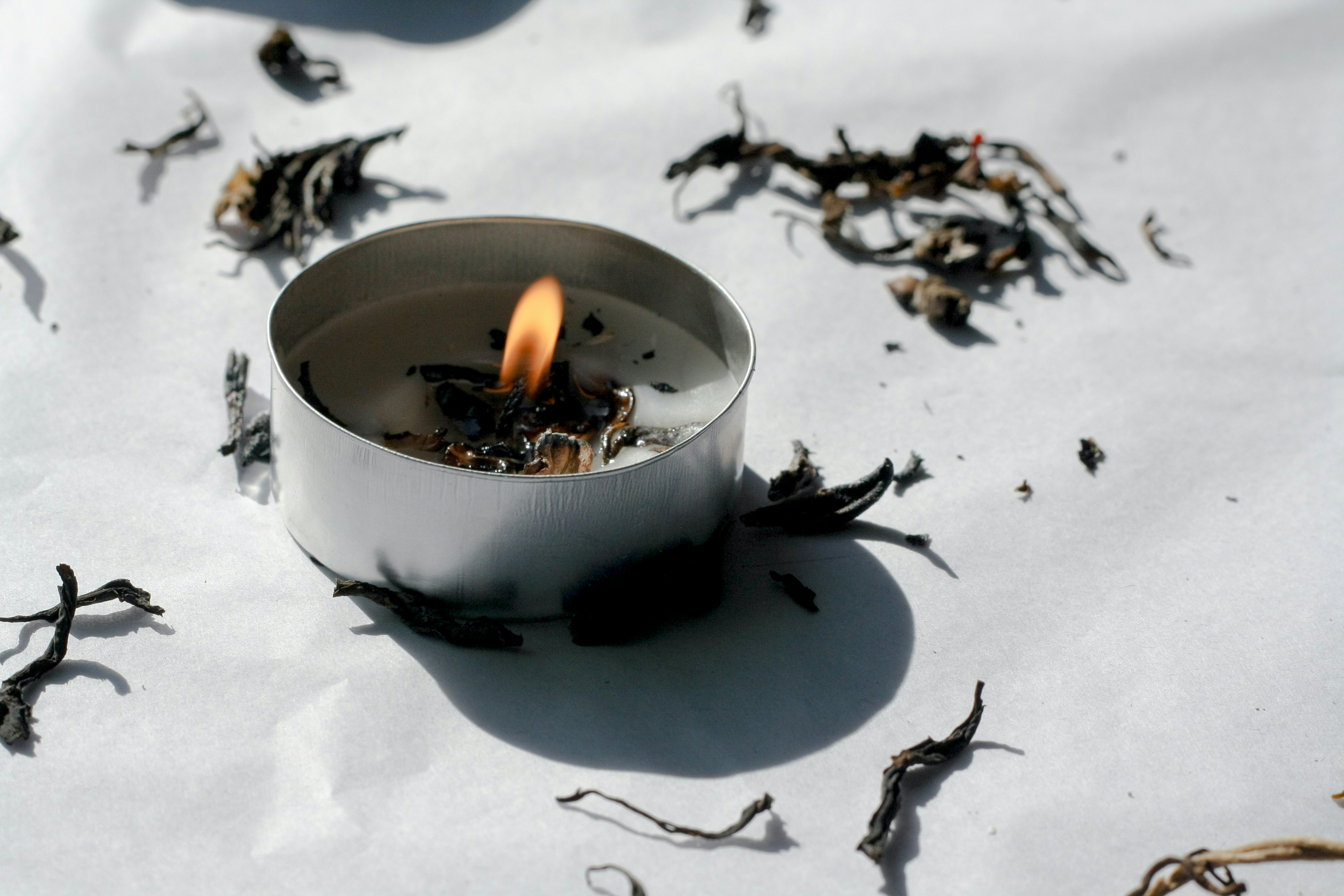 Ember in a Tin on Snow: A Quiet Flame Among Ash and Light